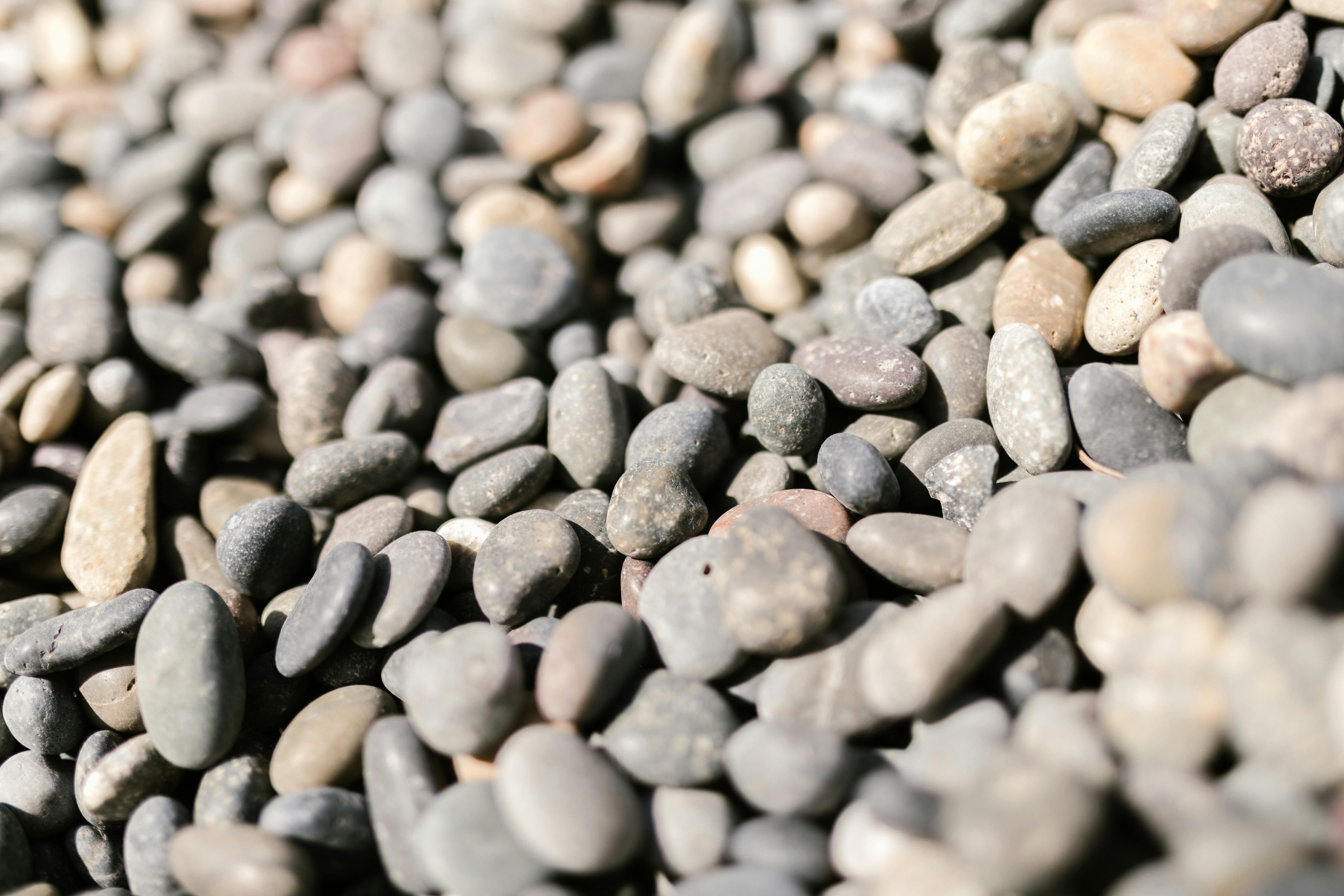 178,494+ Best Free Natural shapes Stock Photos & Images · 100% Royalty ...