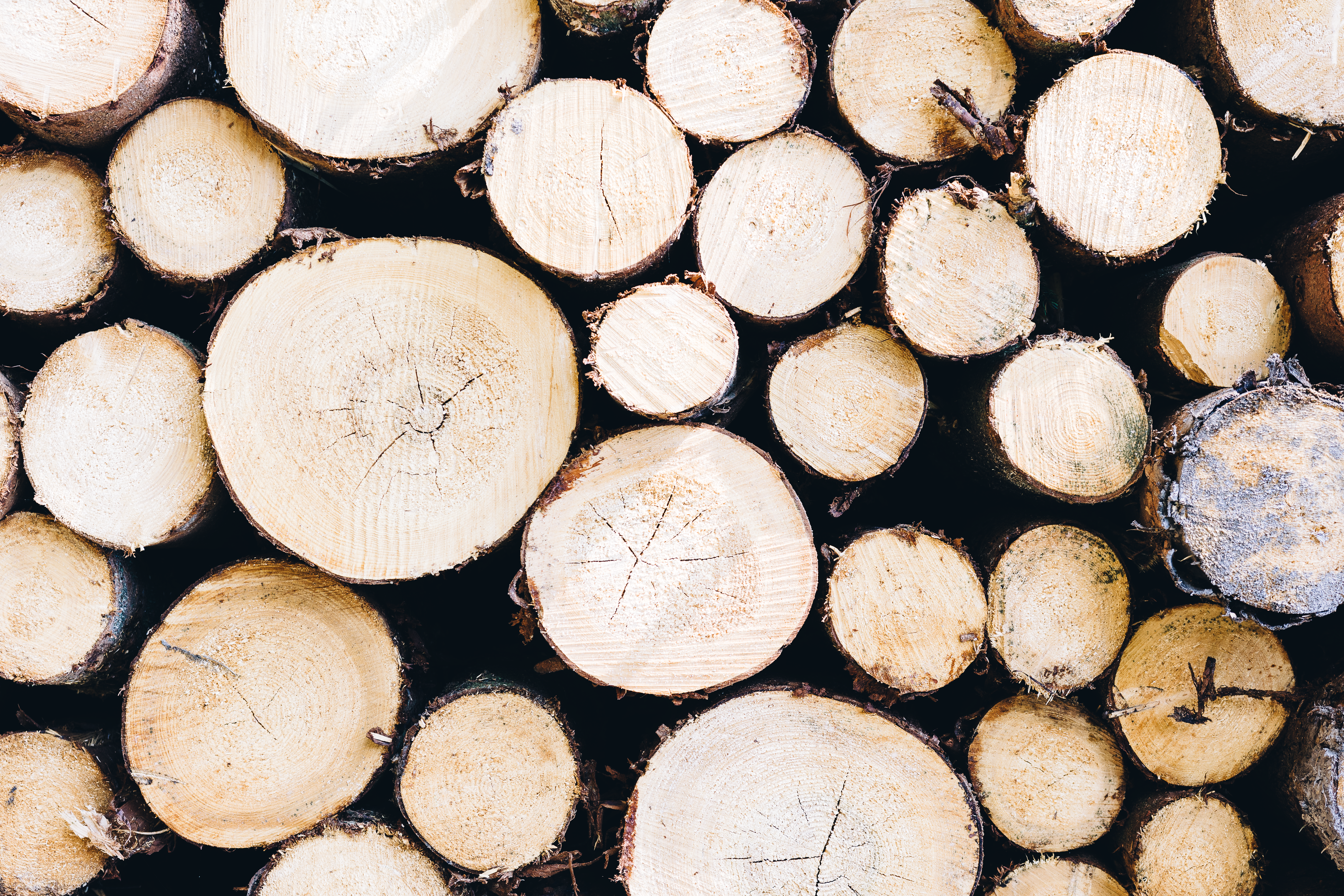 Close-up Photo of Wood Logs · Free Stock Photo