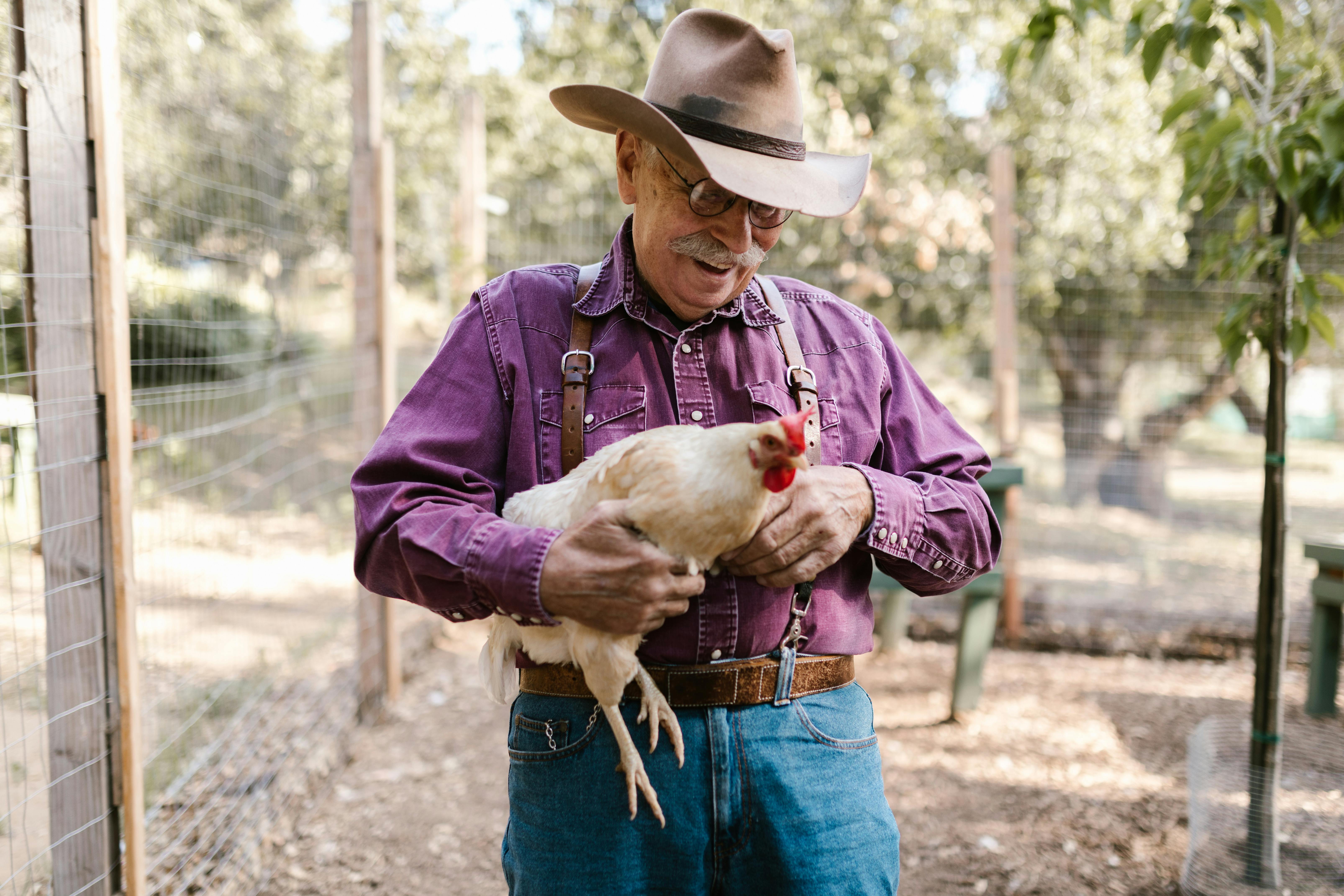 Man Holding Rooster · Free Stock Photo