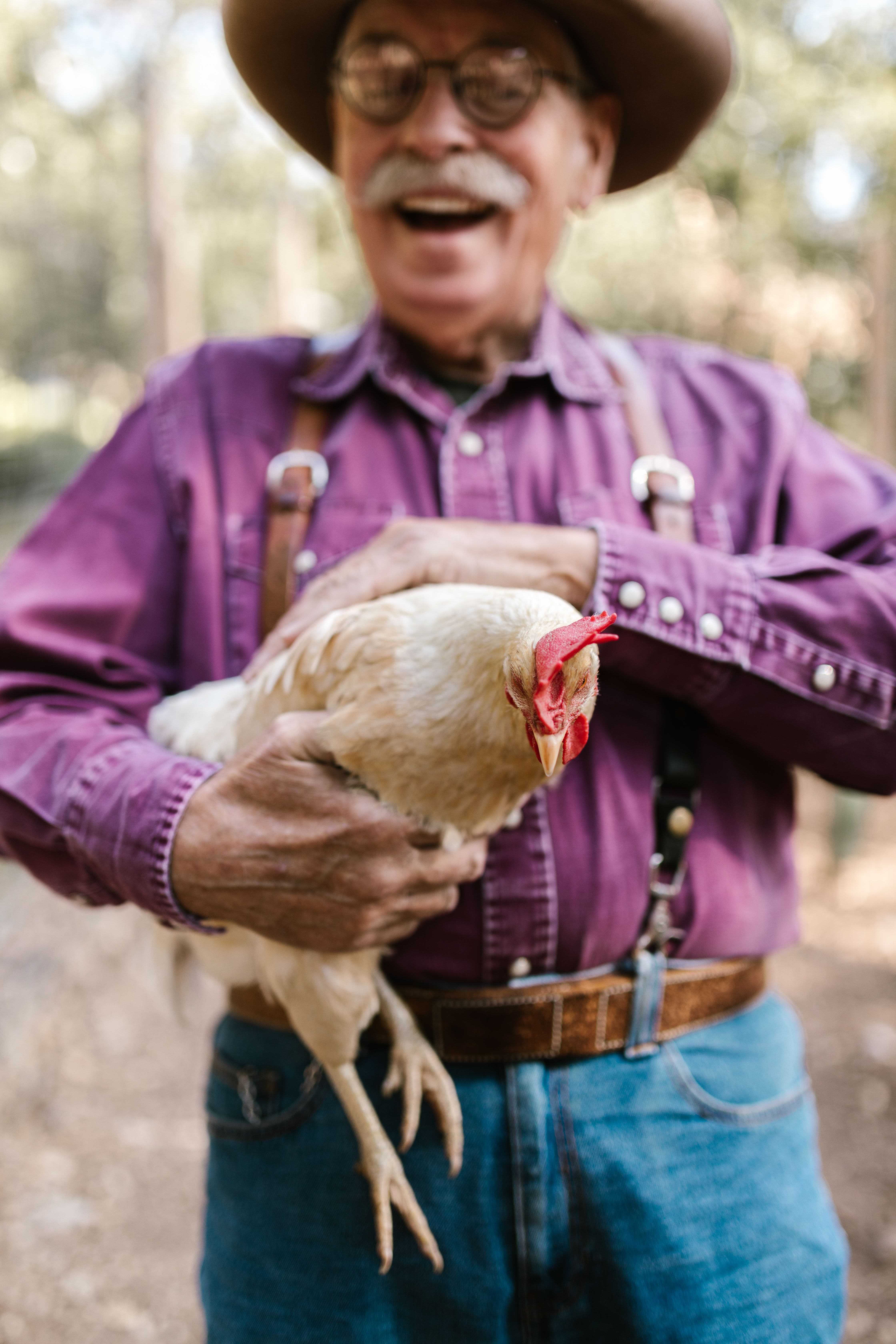 Man Holding Rooster · Free Stock Photo