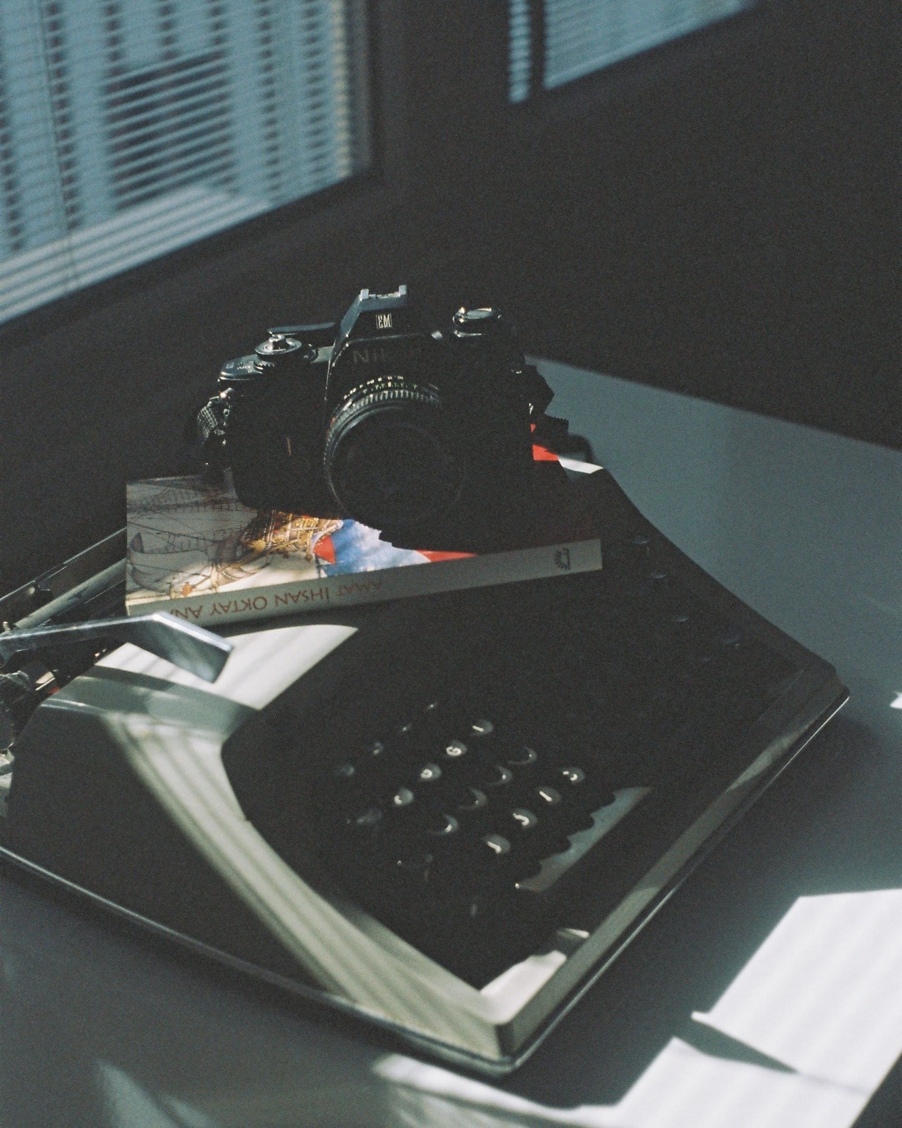 20+ Best Ems Photos · 100% Free Download · Pexels Stock Photos