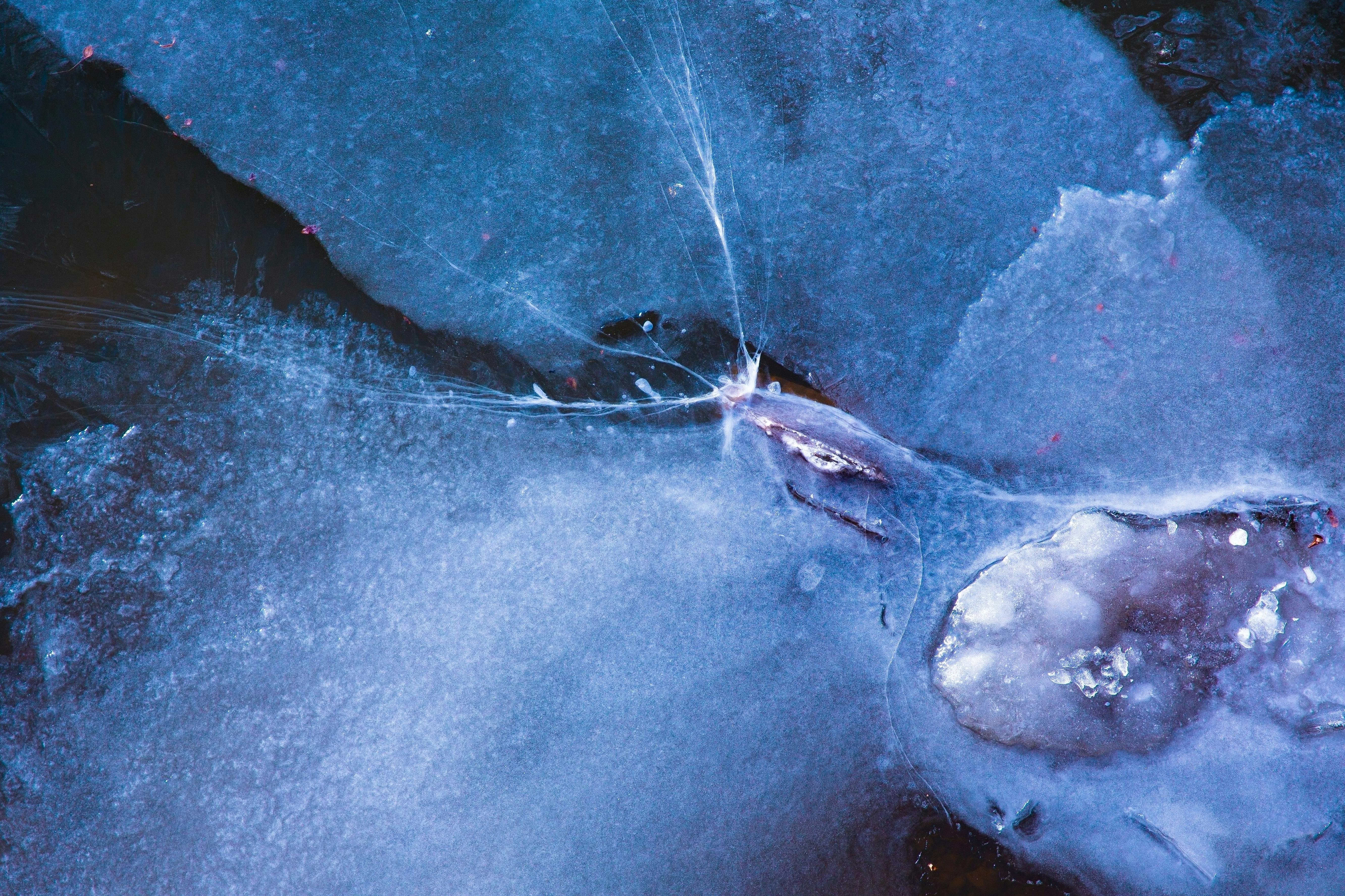 Abstract background of icy blue water · Free Stock Photo