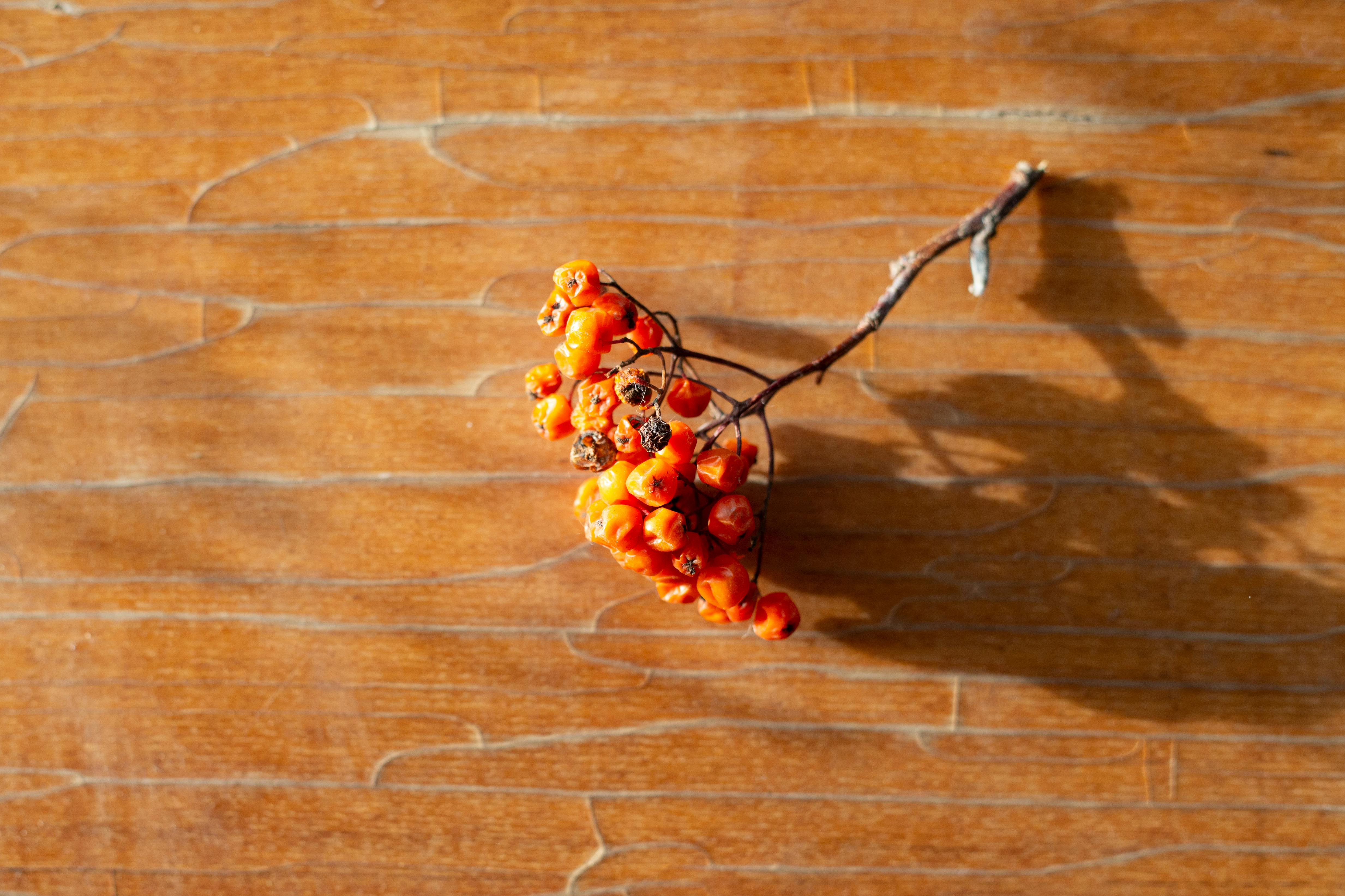 Withered Fruit · Free Stock Photo