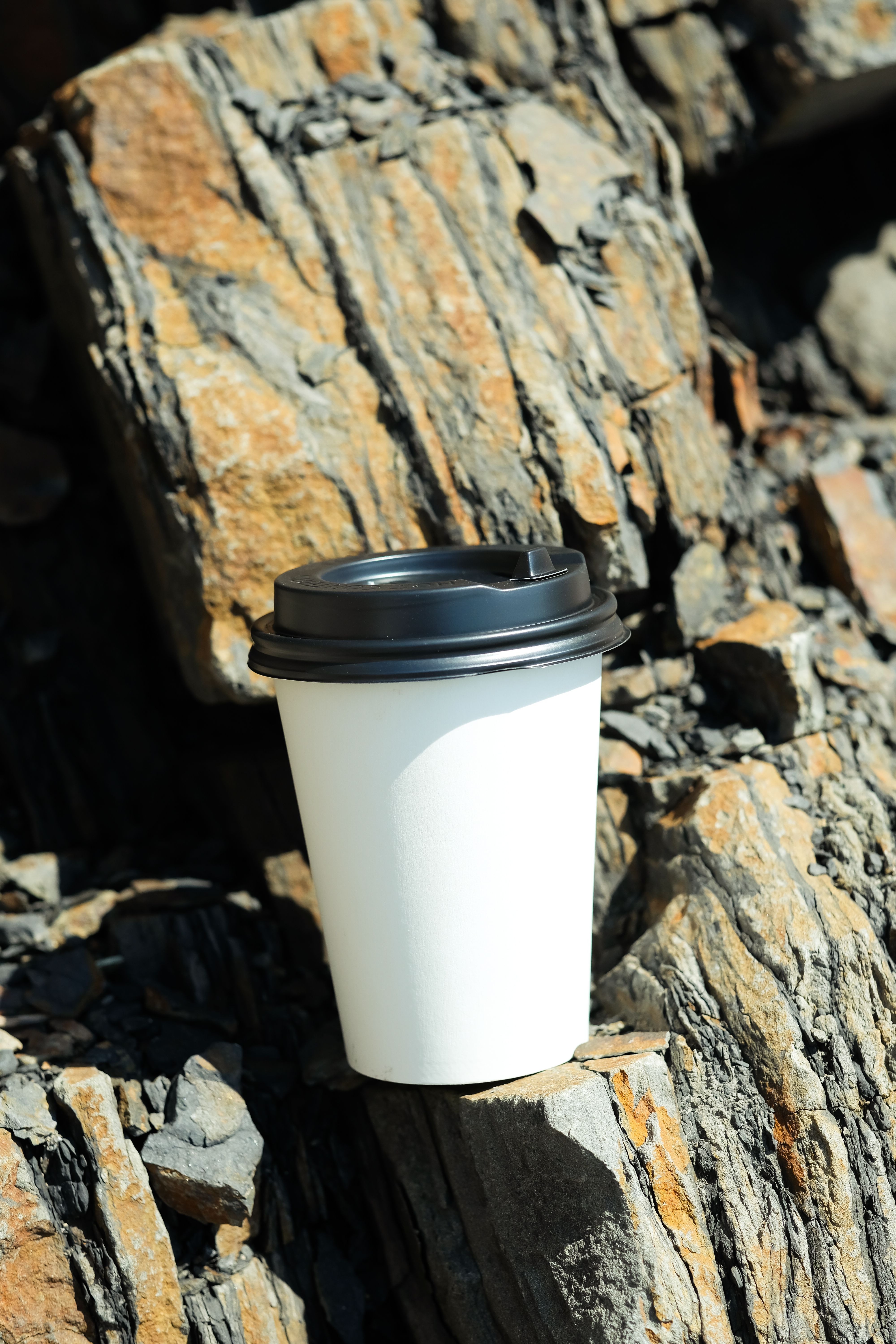 White Disposable Cup on Wood · Free Stock Photo