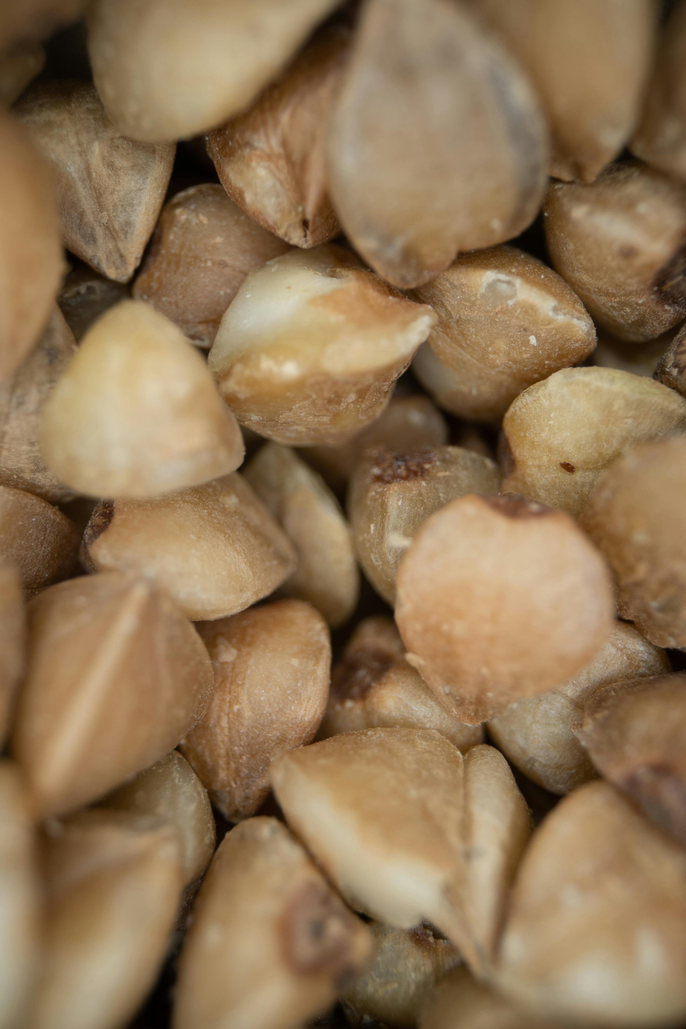 Close-Up View Of Seeds · Free Stock Photo