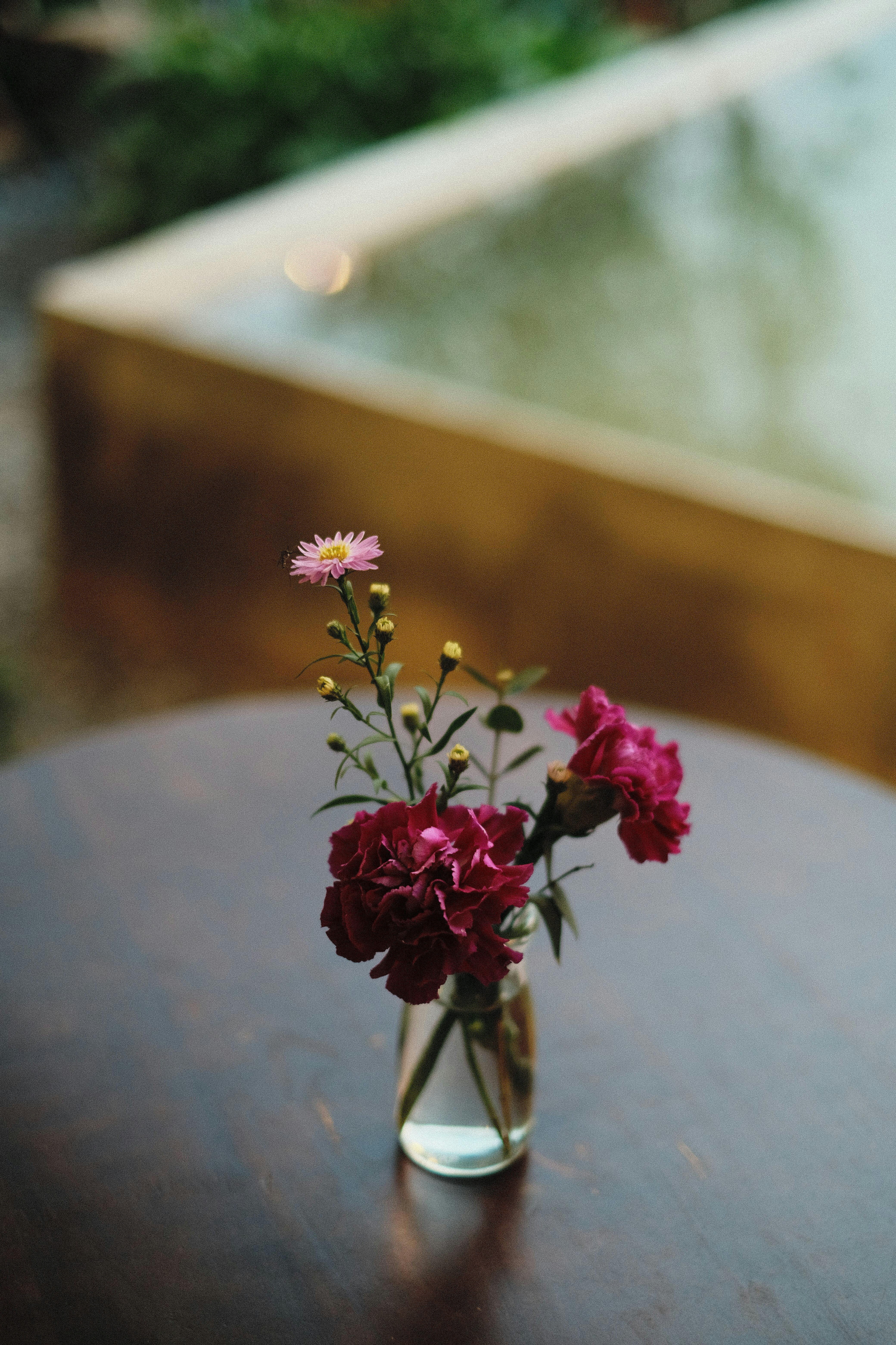 Pink Flowers on Wooden Table · Free Stock Photo