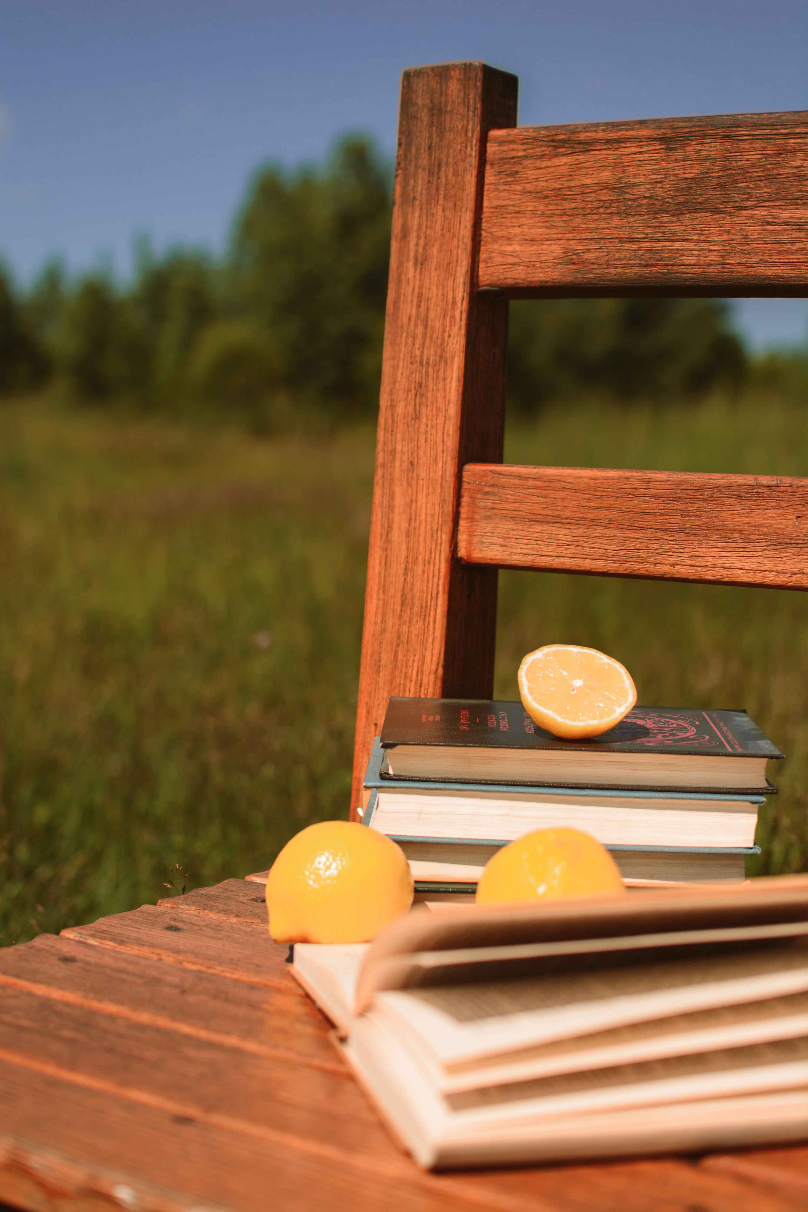 Books with lemons on chair in nature · Free Stock Photo