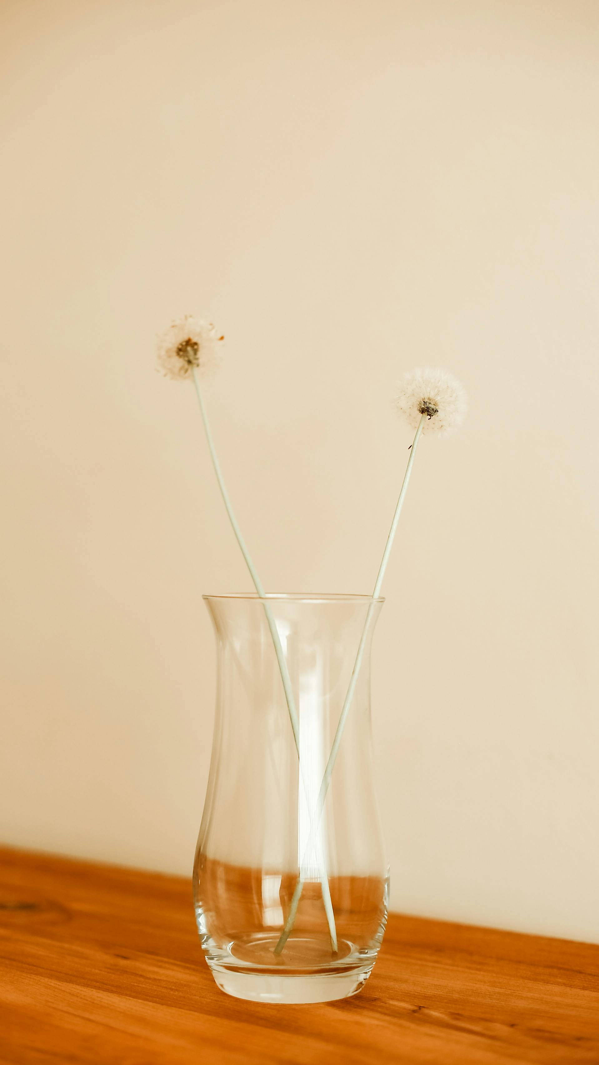 Dandelions in a Glass Vase · Free Stock Photo
