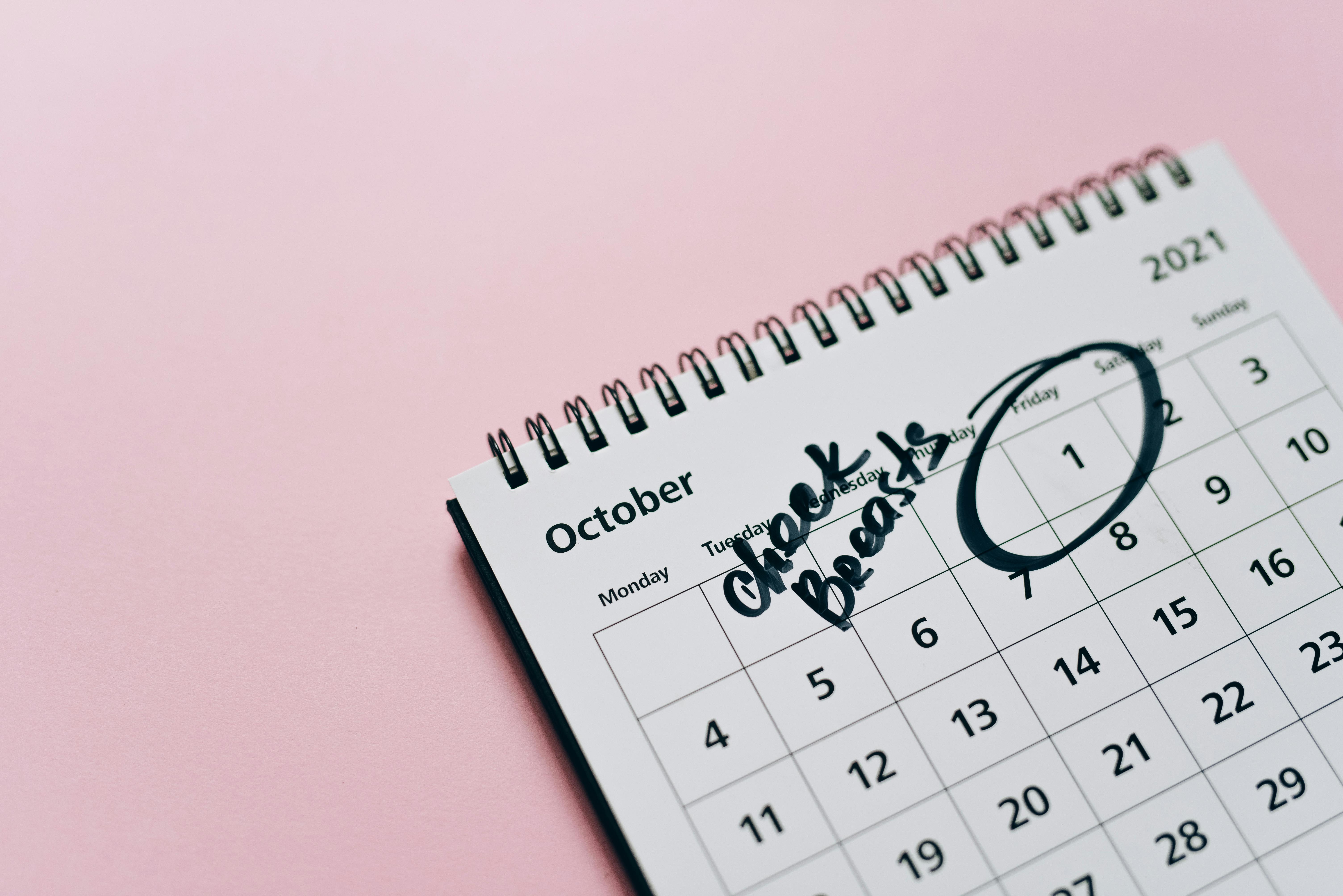 Person Holding a Calendar and Clipboard · Free Stock Photo