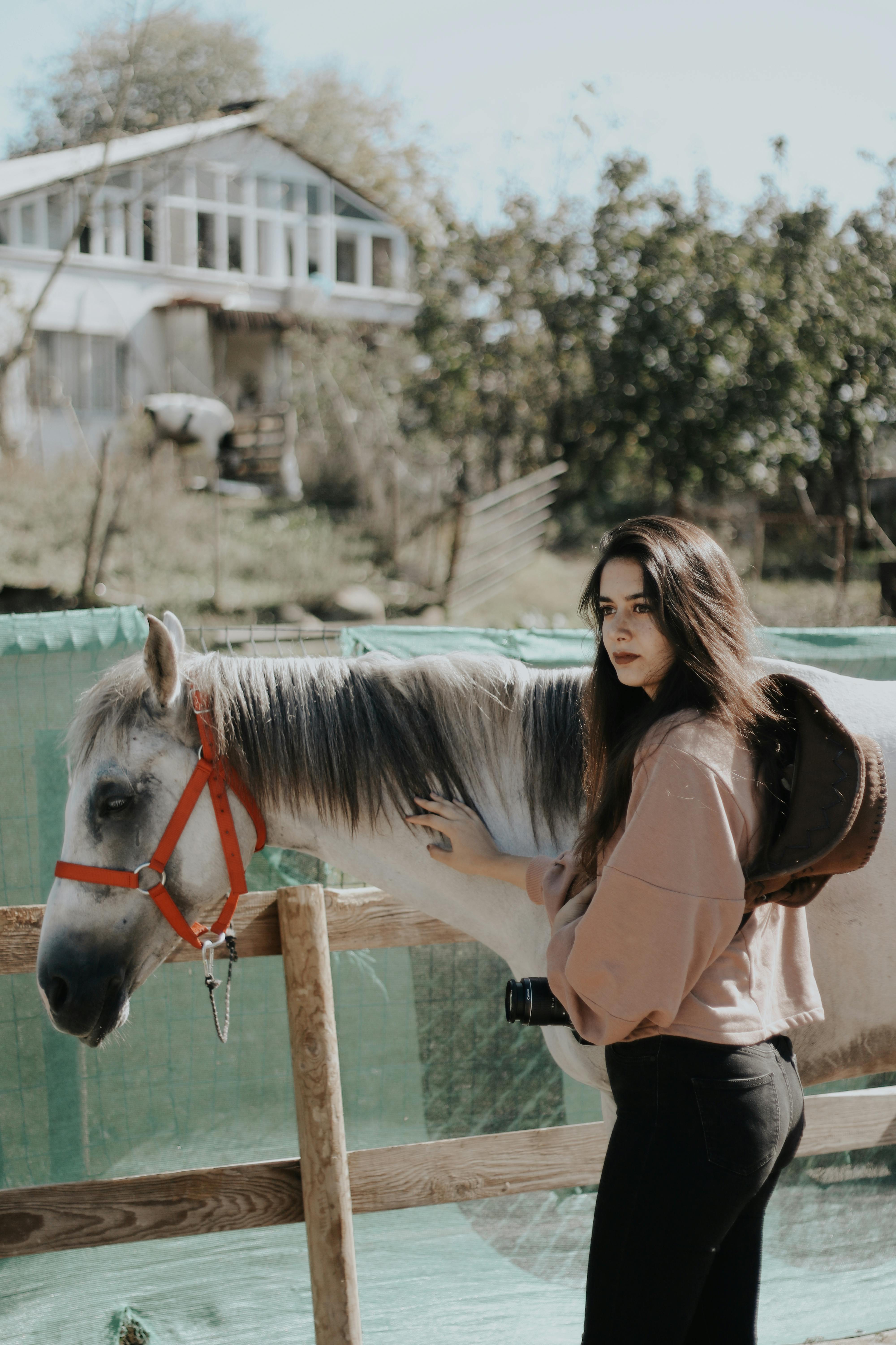Woman Riding a Horse · Free Stock Photo