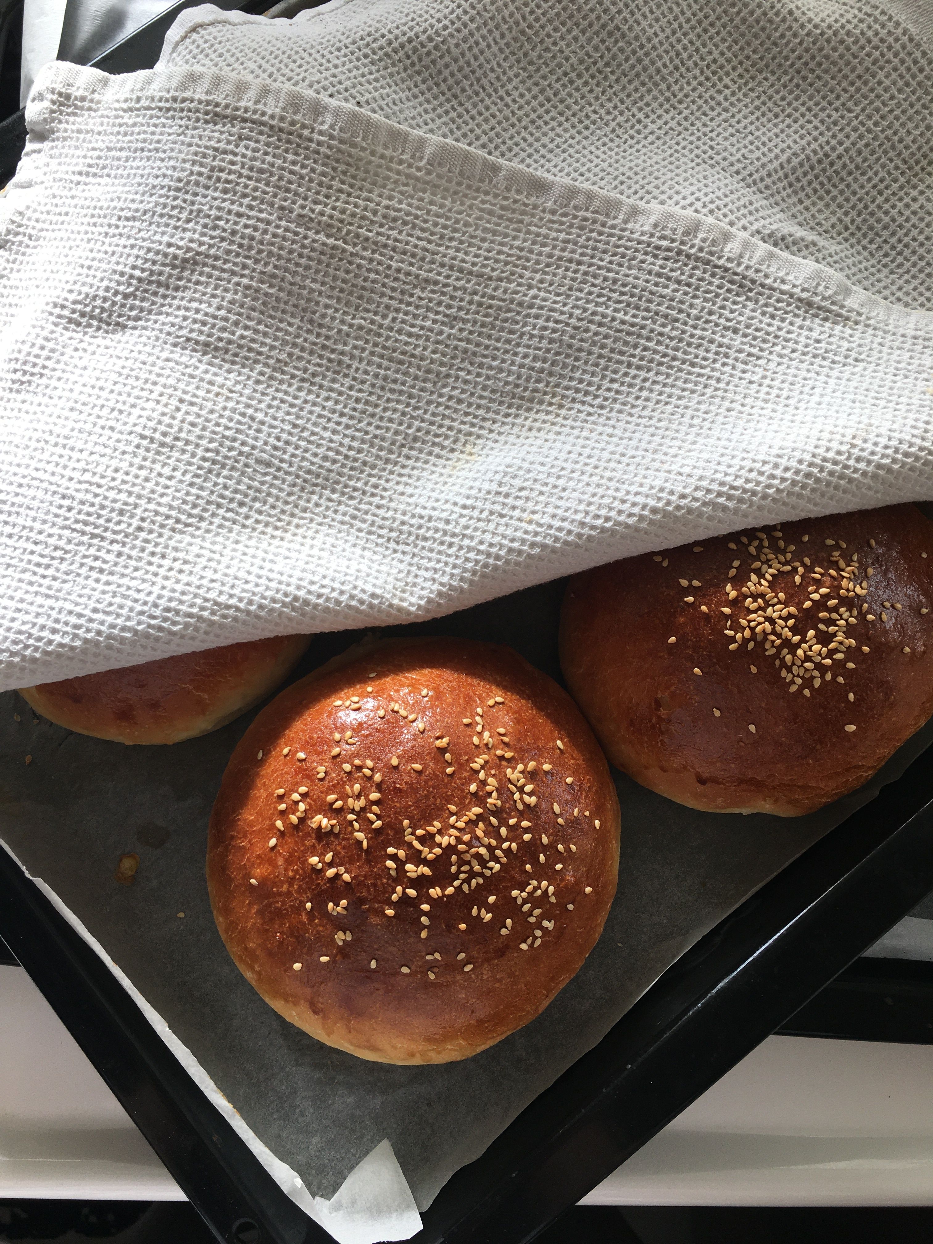 Overhead Shot of Hamburger Buns · Free Stock Photo