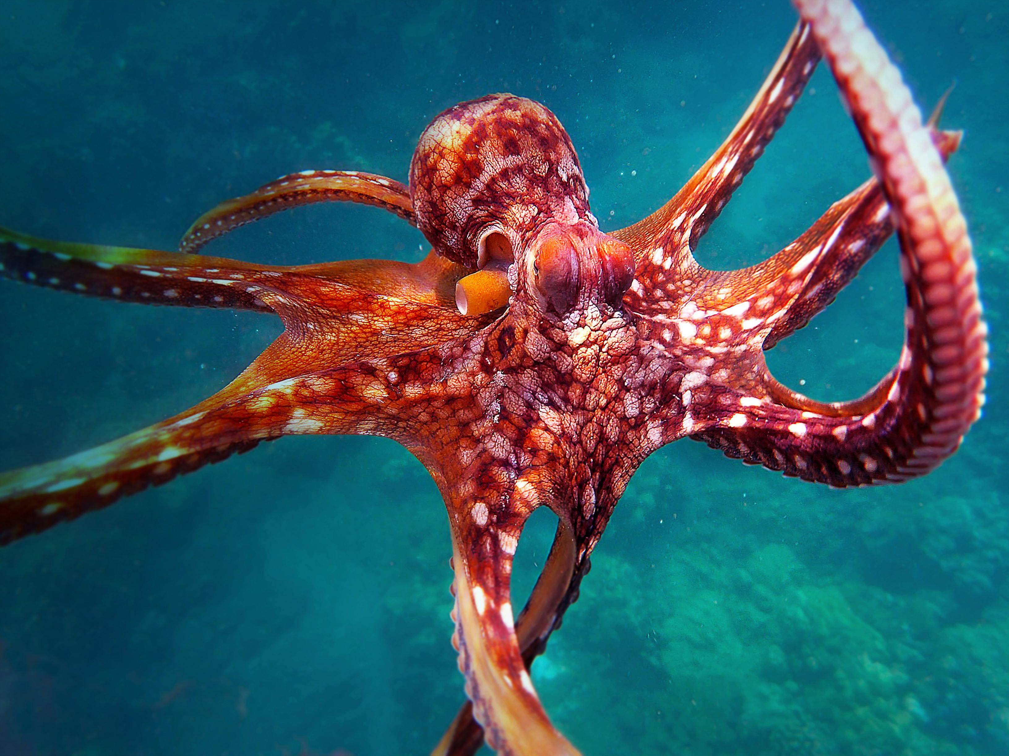 Terry Hahn - Photography