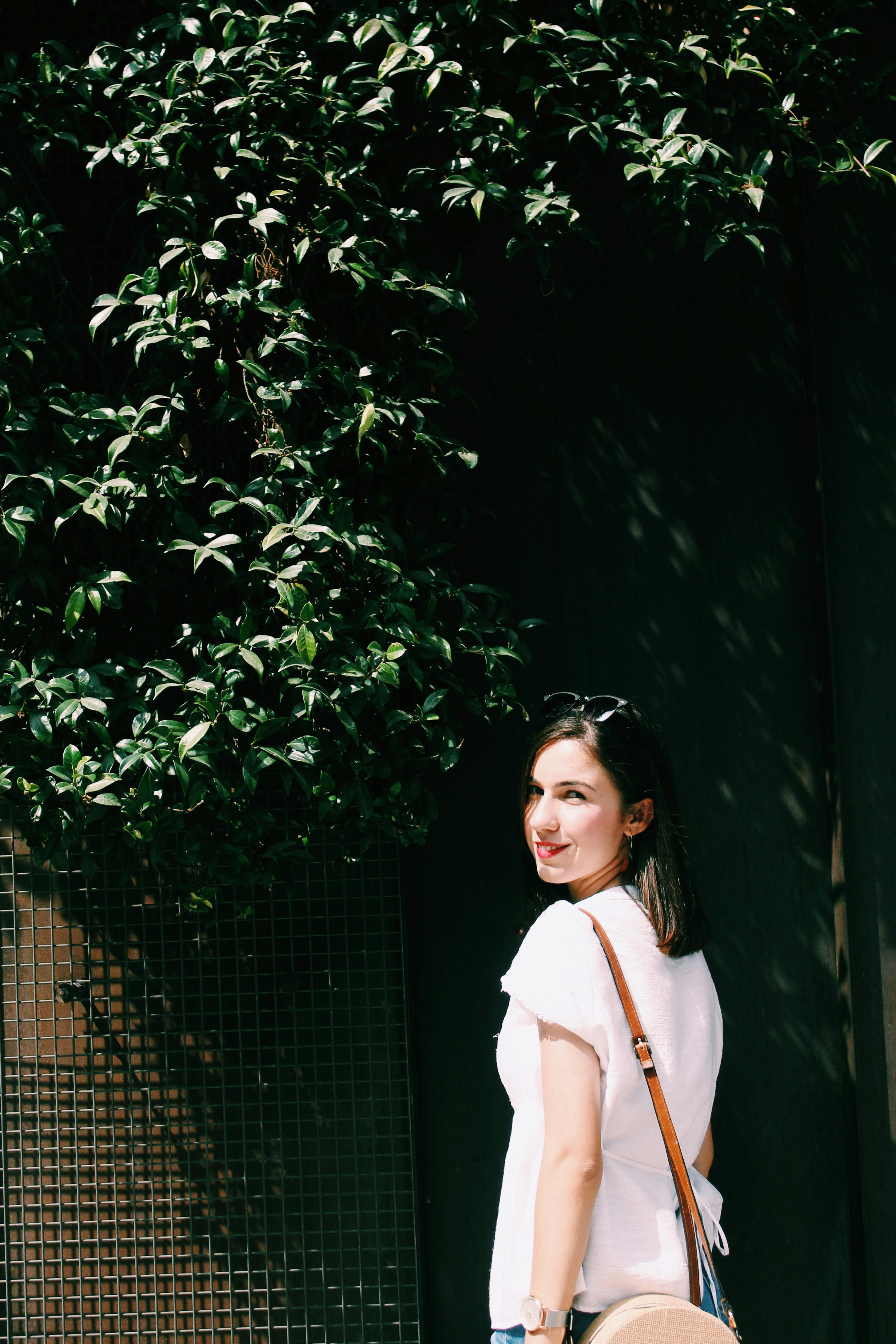 Planning Tree Photos, Download The BEST Free Planning Tree Stock Photos ...