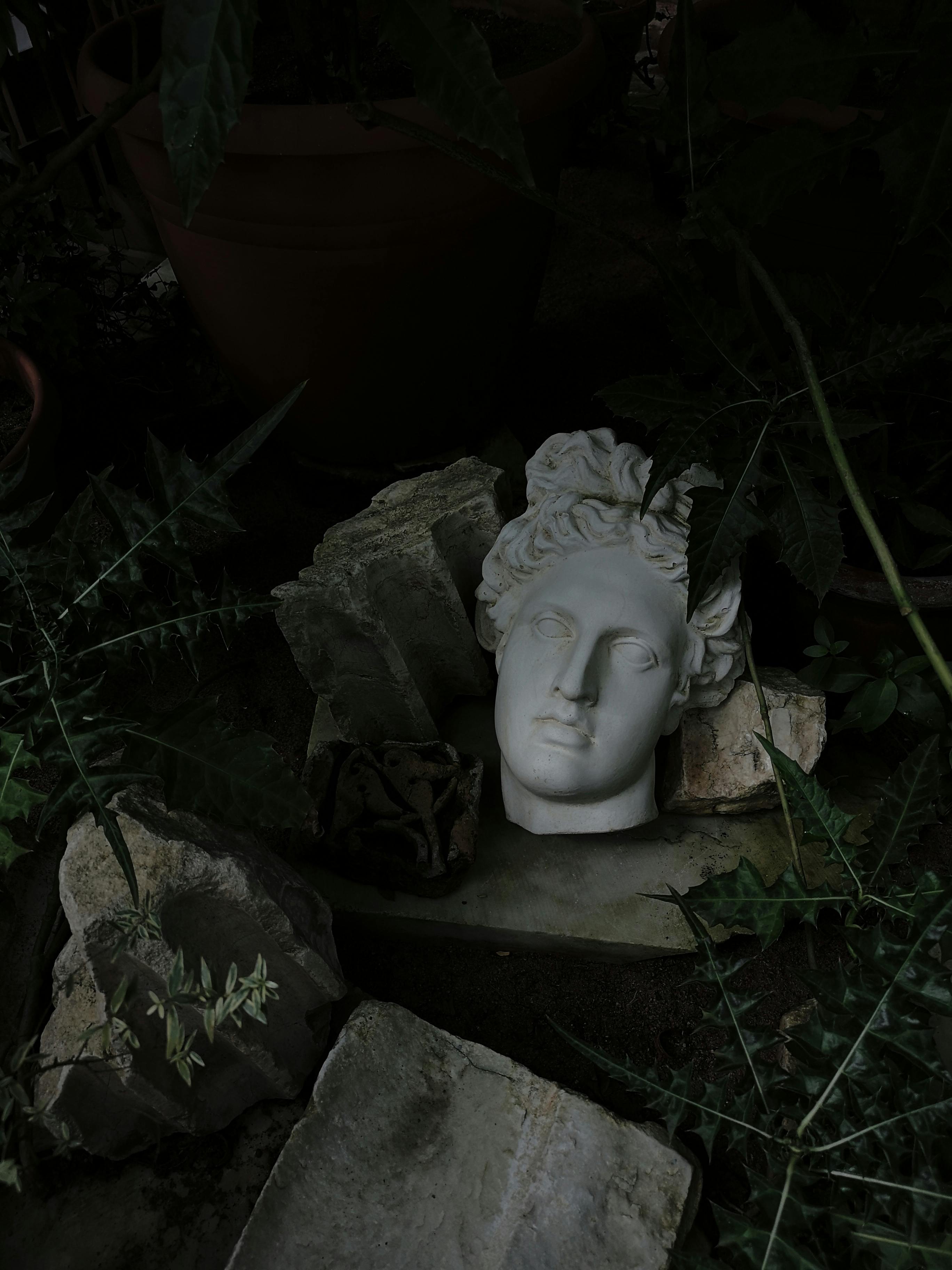 Head of a Statue Lying on Rocks Between Plants · Free Stock Photo