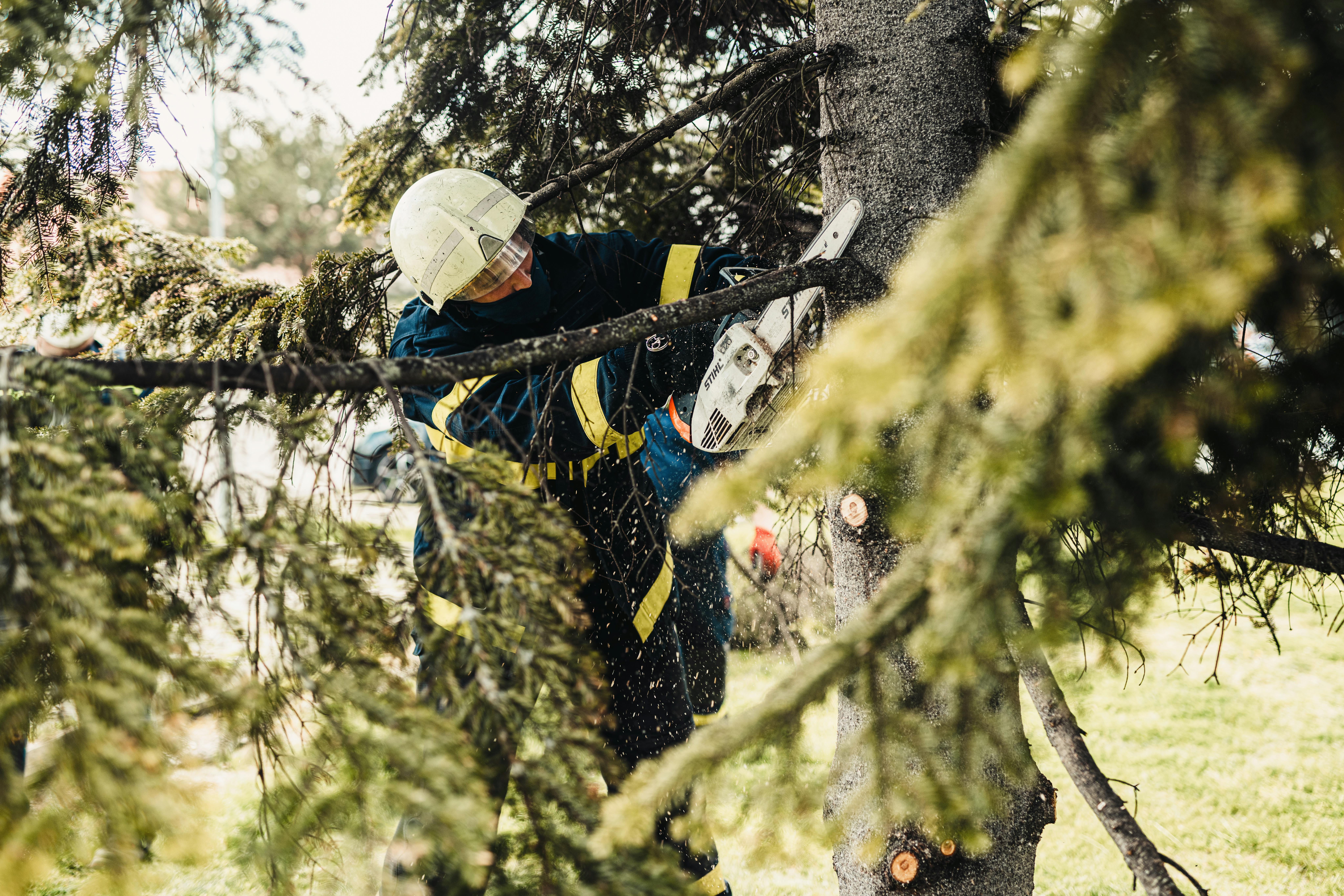 A Firefighter Cutting a Tree Branch · Free Stock Photo