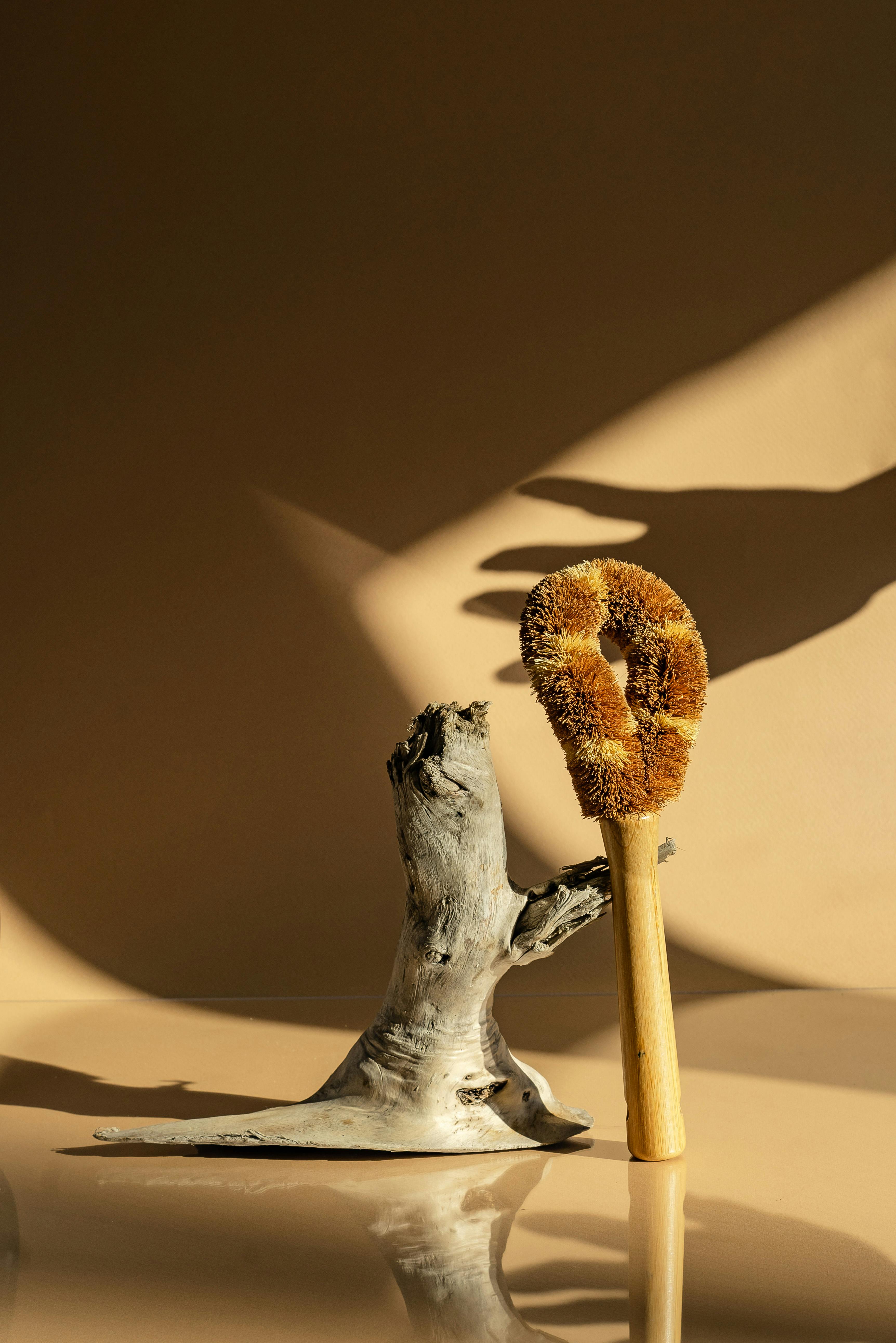 Shadow Formation Photos, Download The BEST Free Shadow Formation Stock ...