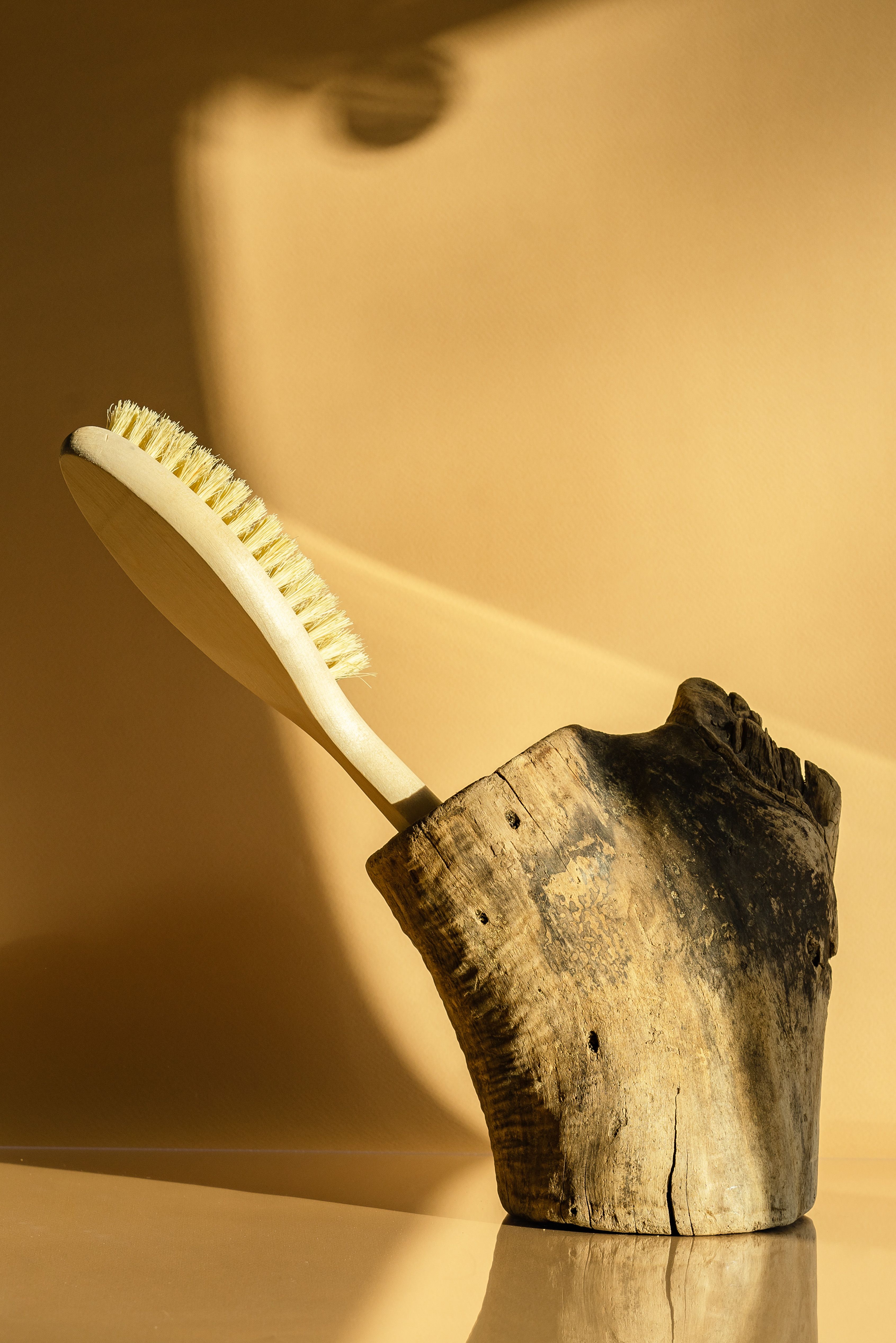 Wooden Brush on a Wooden Log · Free Stock Photo