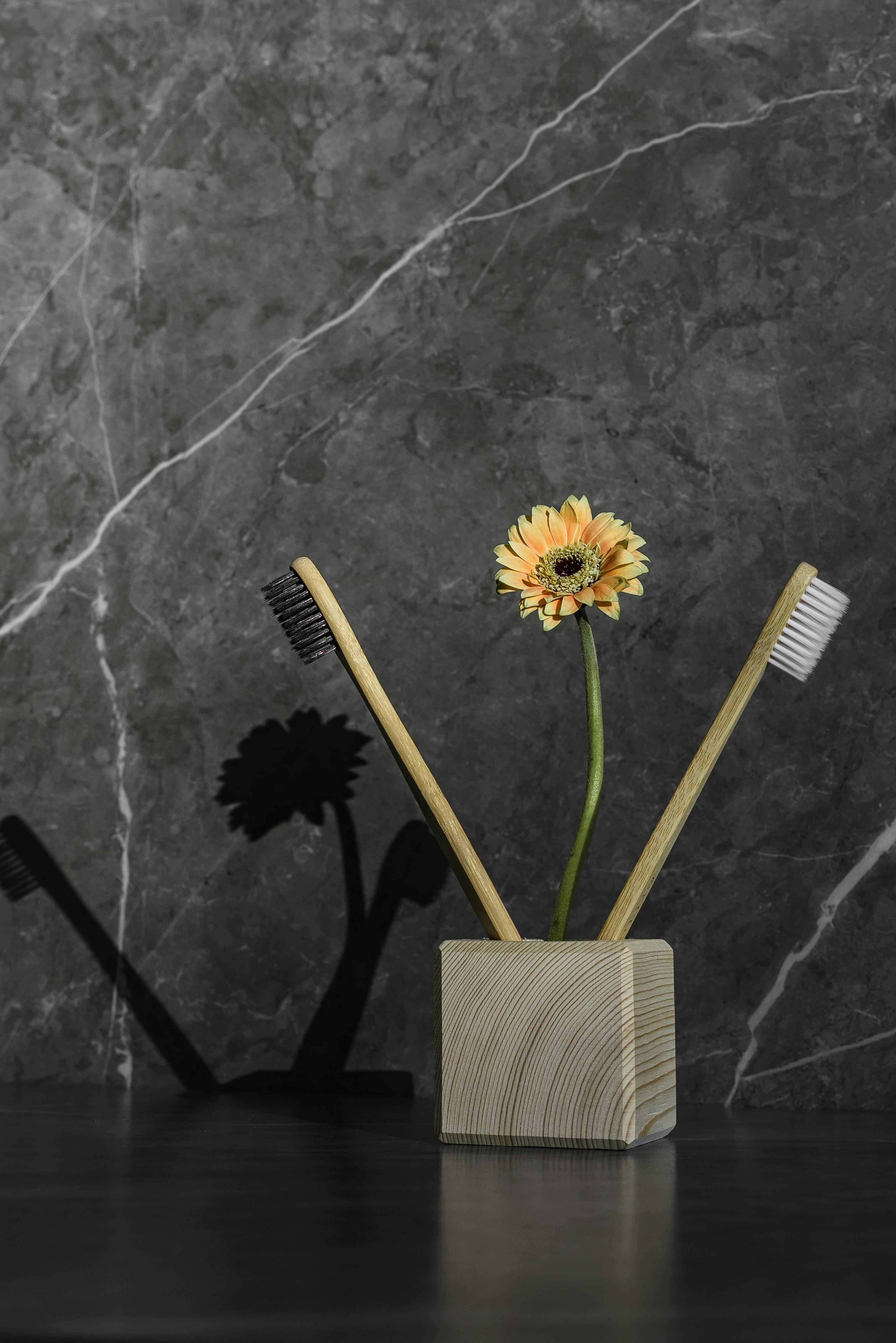 Toothbrushes and a Flower in a Cup · Free Stock Photo