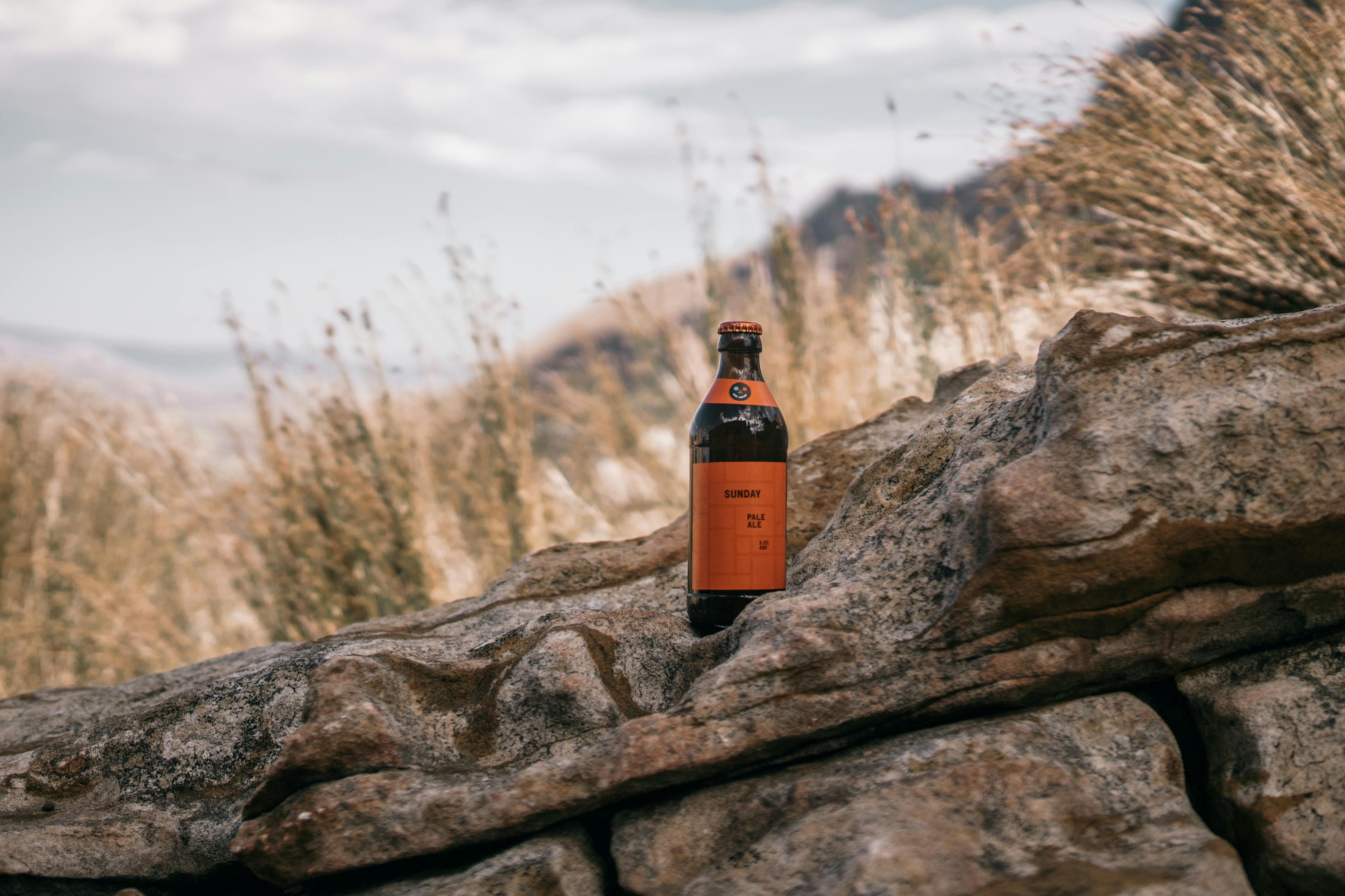 Photo of a Beer Bottle on a Rock · Free Stock Photo
