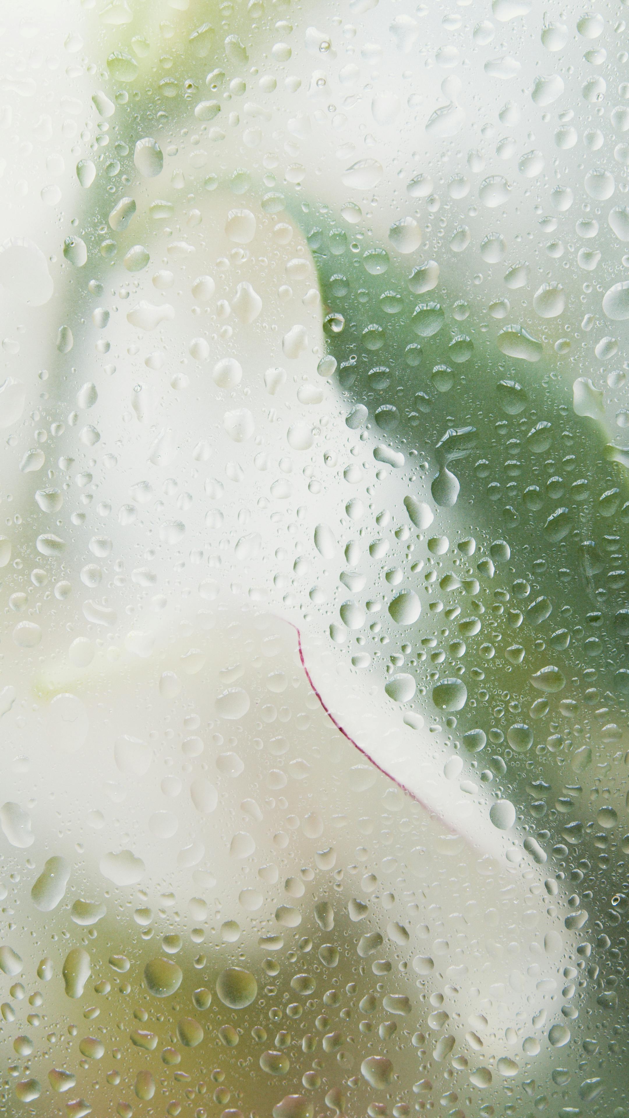 Humidity Photos, Download The BEST Free Humidity Stock Photos & HD Images