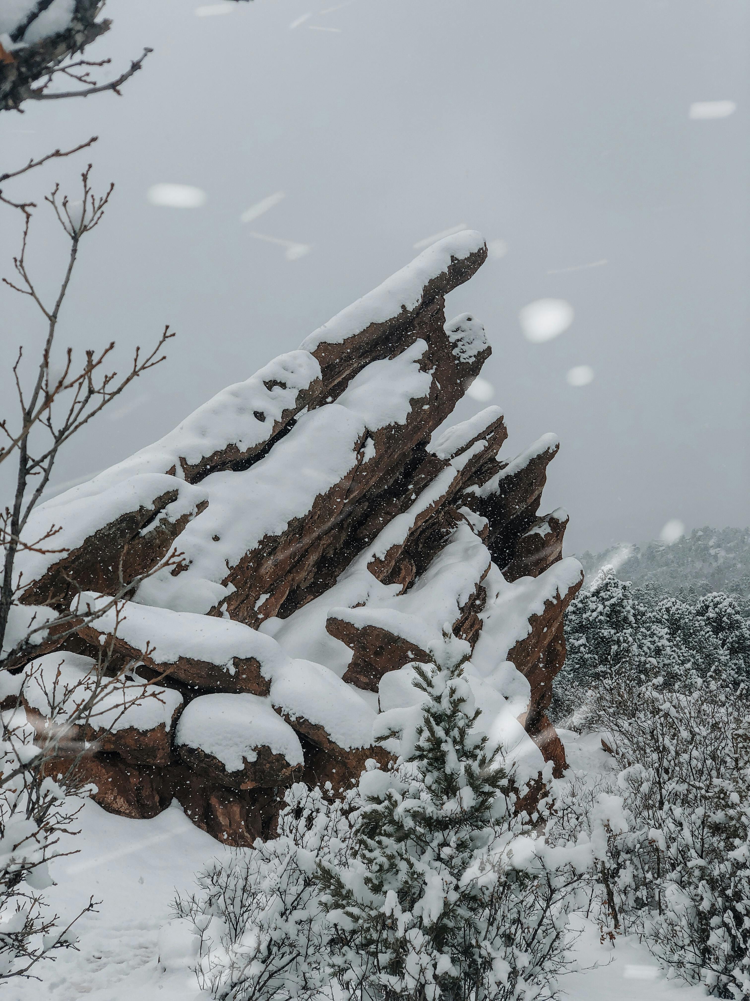 Jacob Moore 님의 Nature 컬렉션 사진 및 동영상 10개