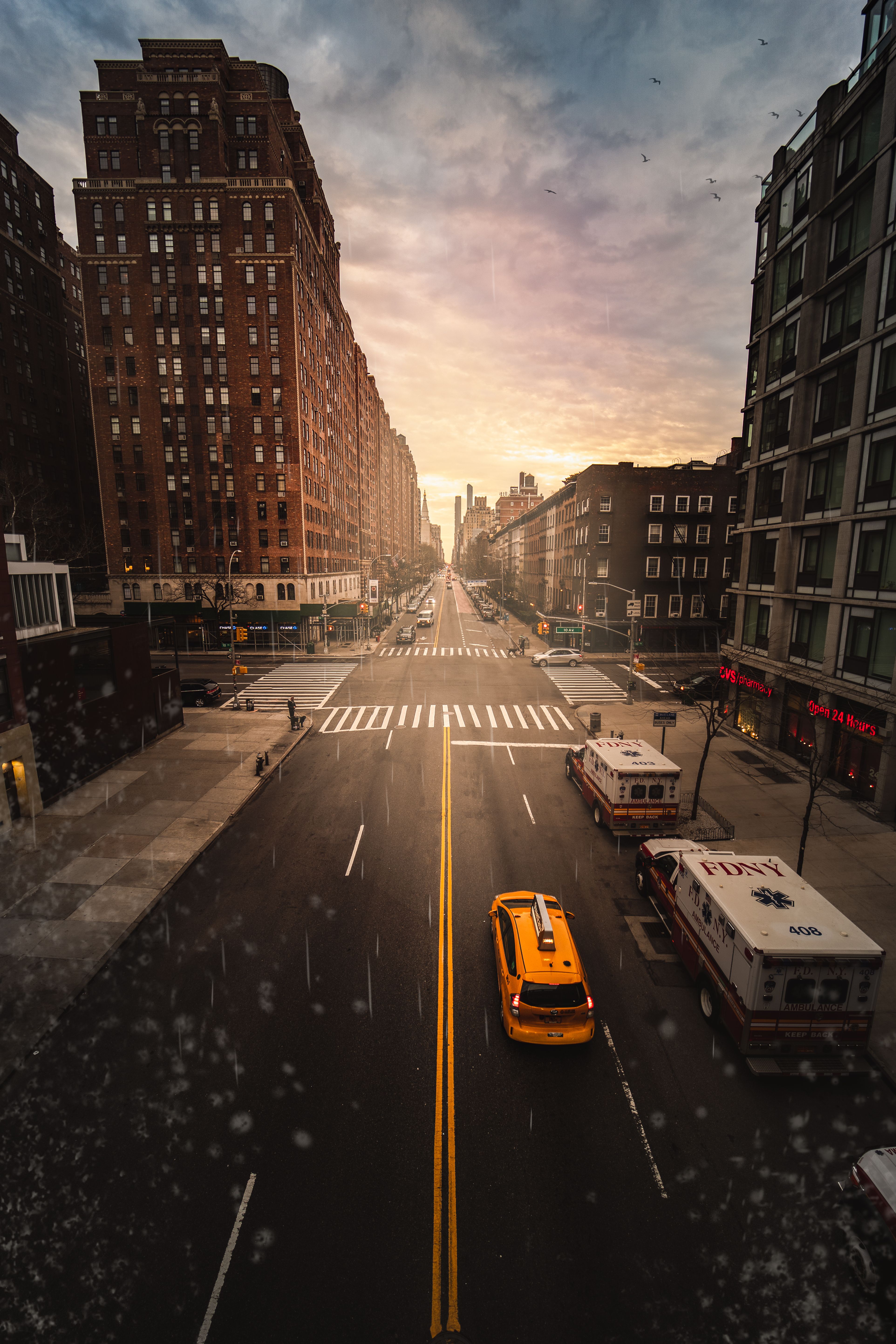 Motor Vehicles on the Road · Free Stock Photo