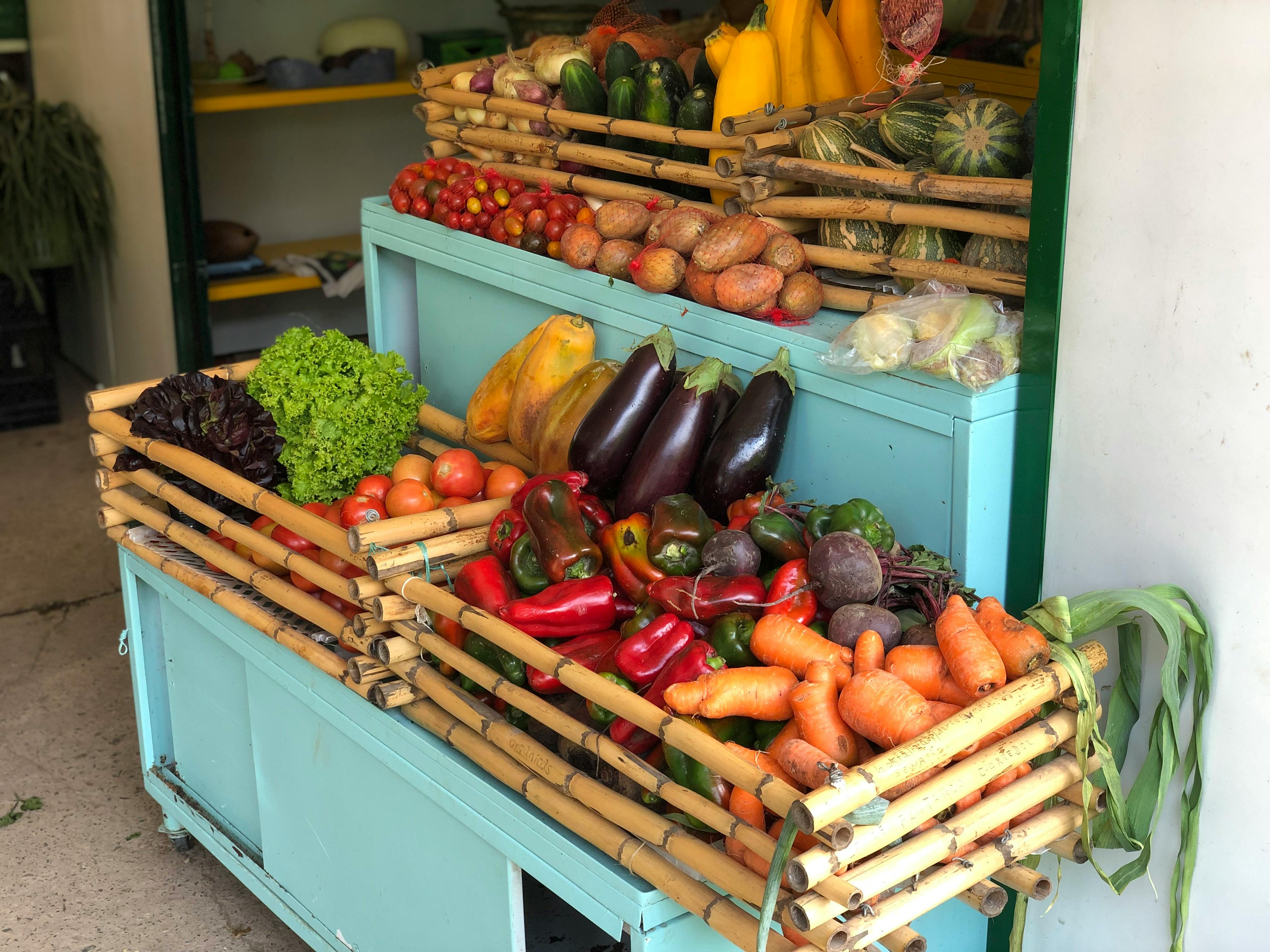 Carlos Alberto Montes - Photography