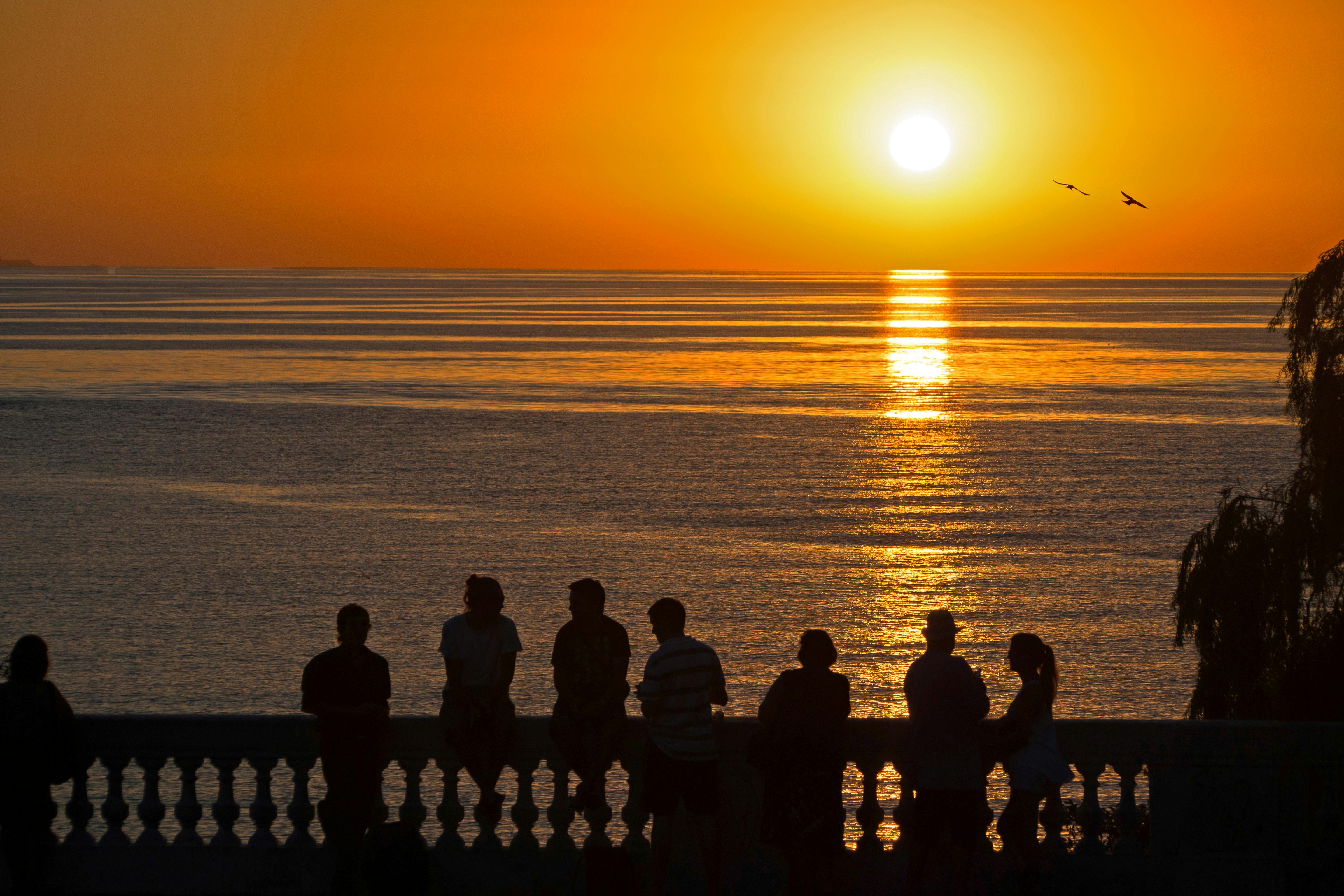Silhouette of People Watching the Sunset · Free Stock Photo