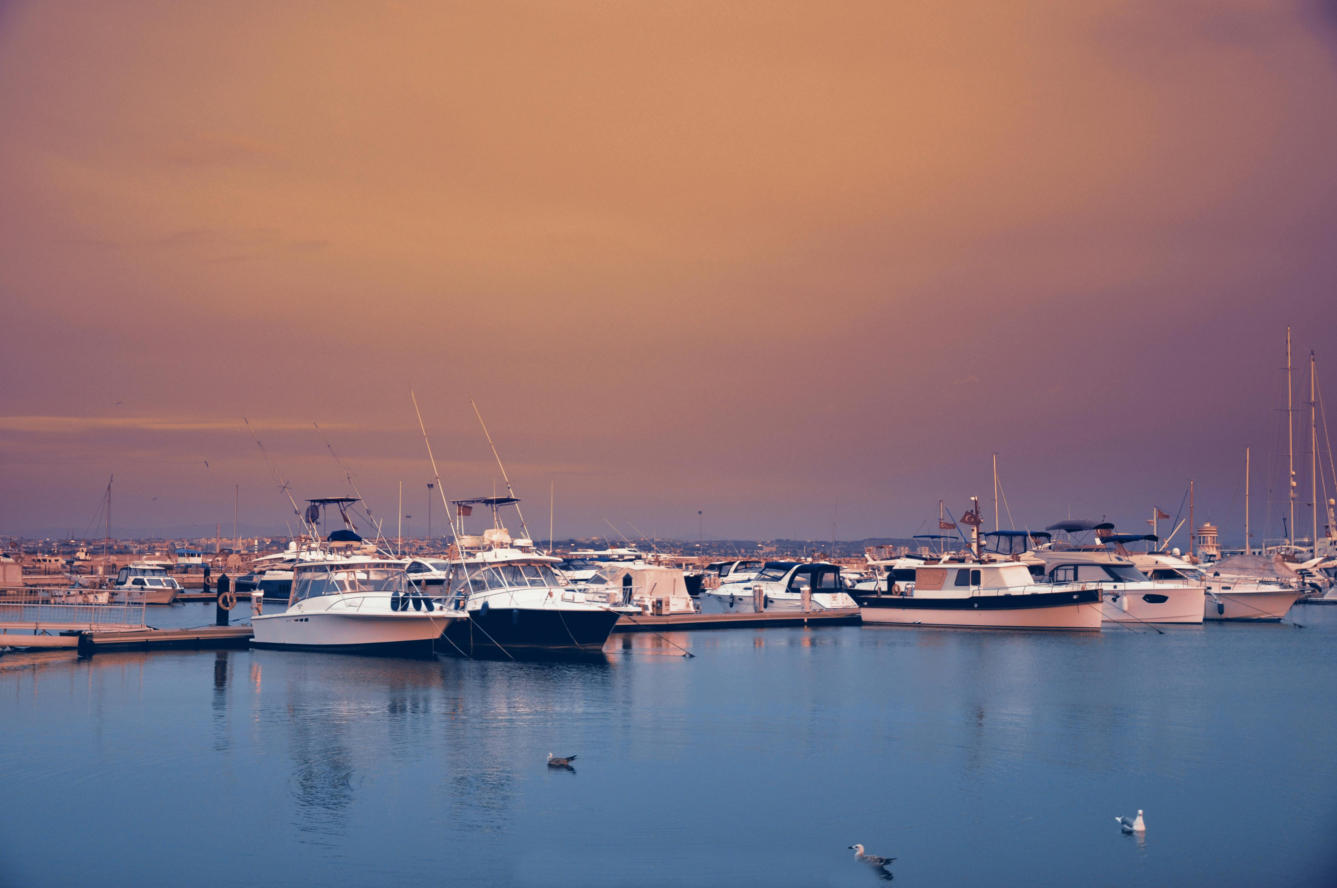 Boats on the Harbour · Free Stock Photo