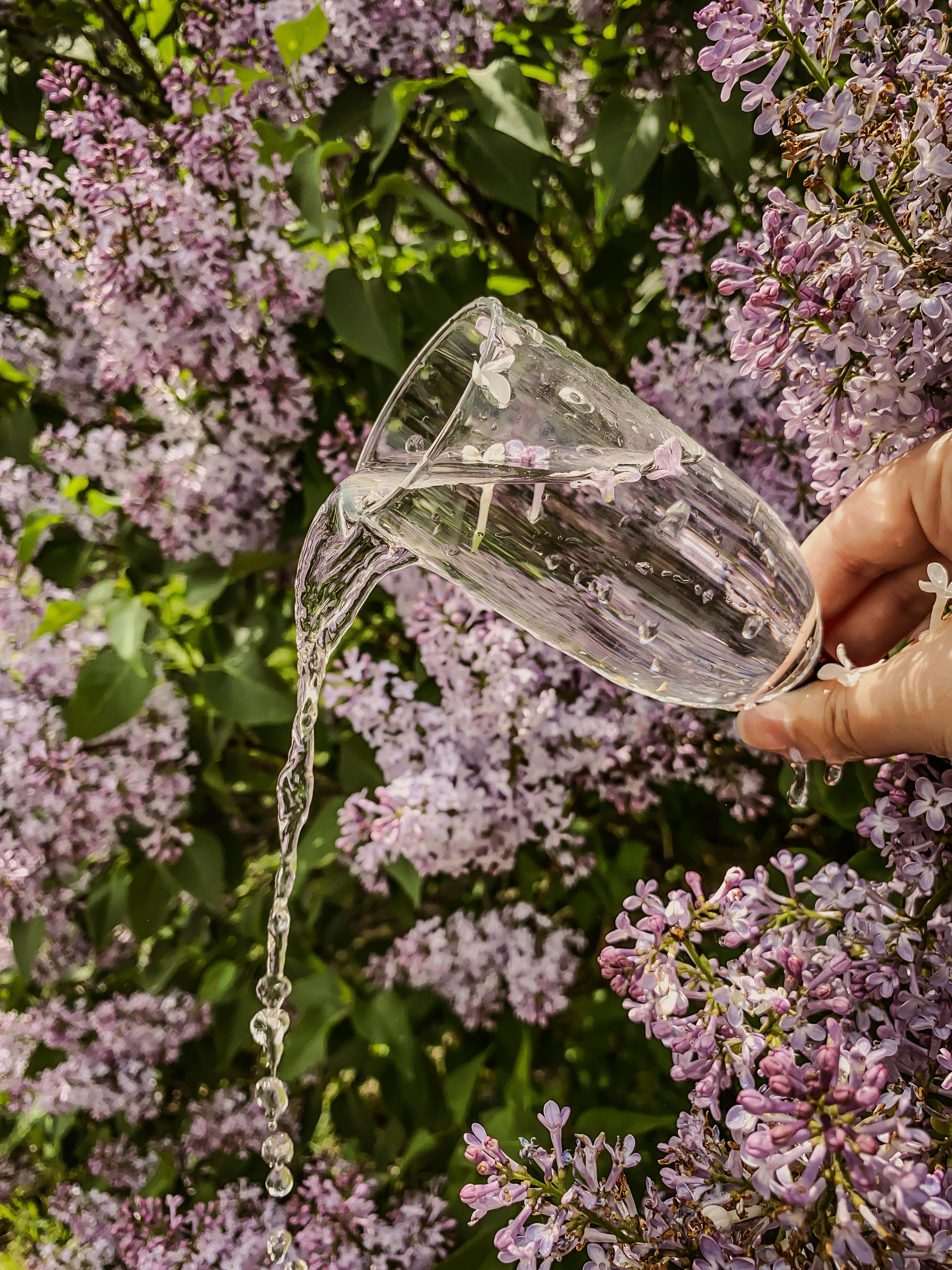 Spilling Water Photos, Download The BEST Free Spilling Water Stock ...