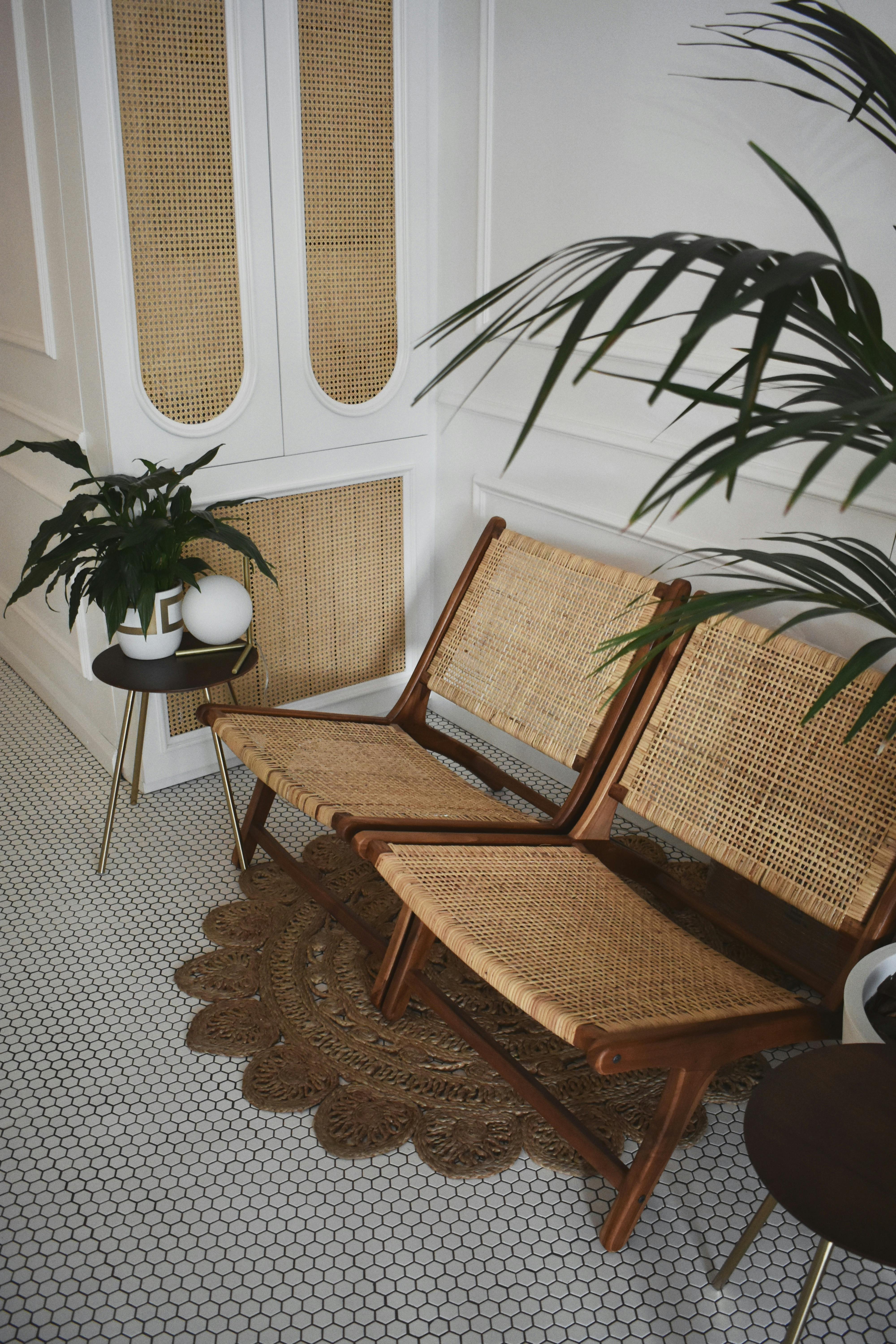 Rattan Chairs Near Potted Plants · Free Stock Photo