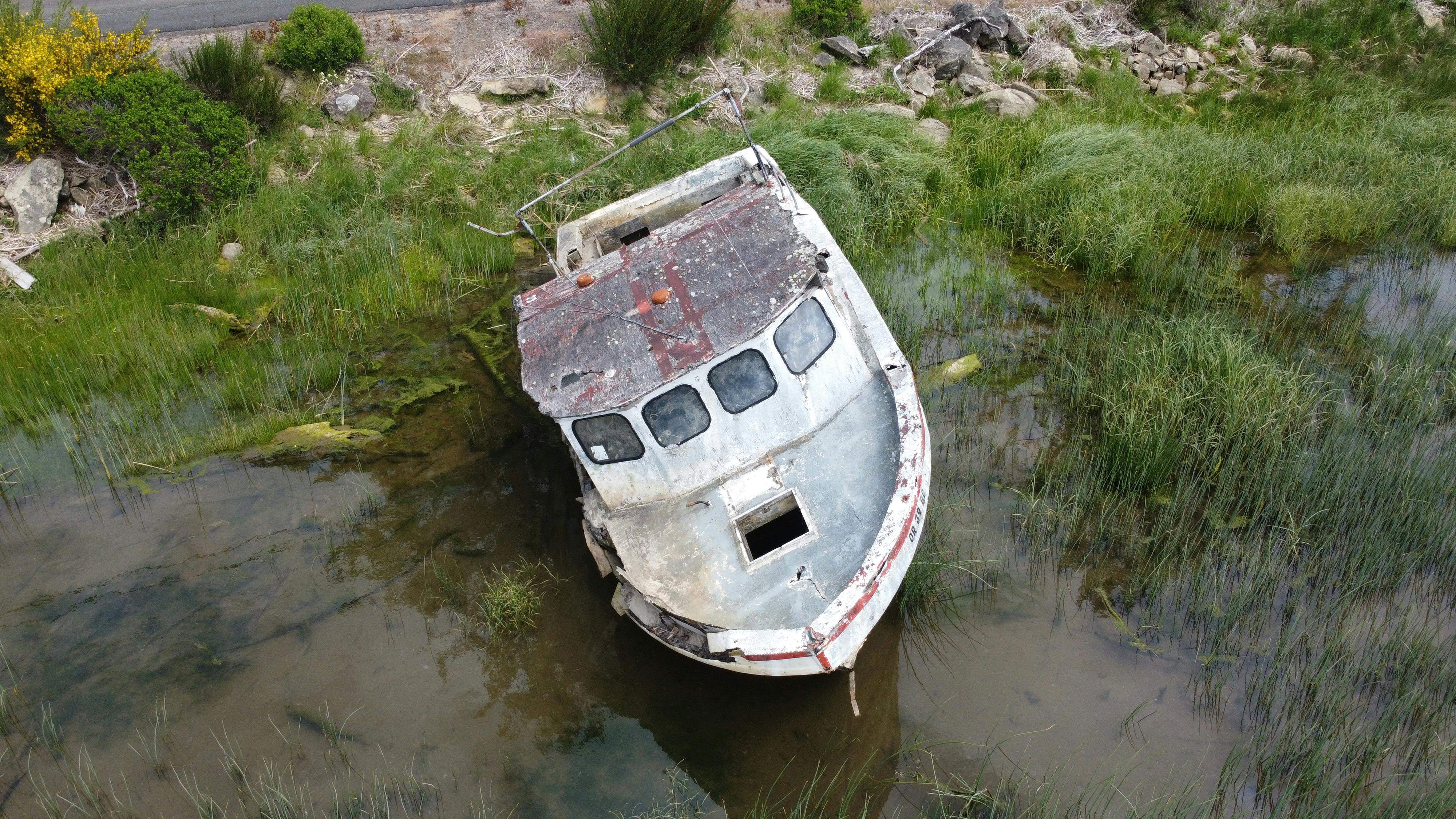 Boat Wreck on a Shallow Wetland · Free Stock Photo