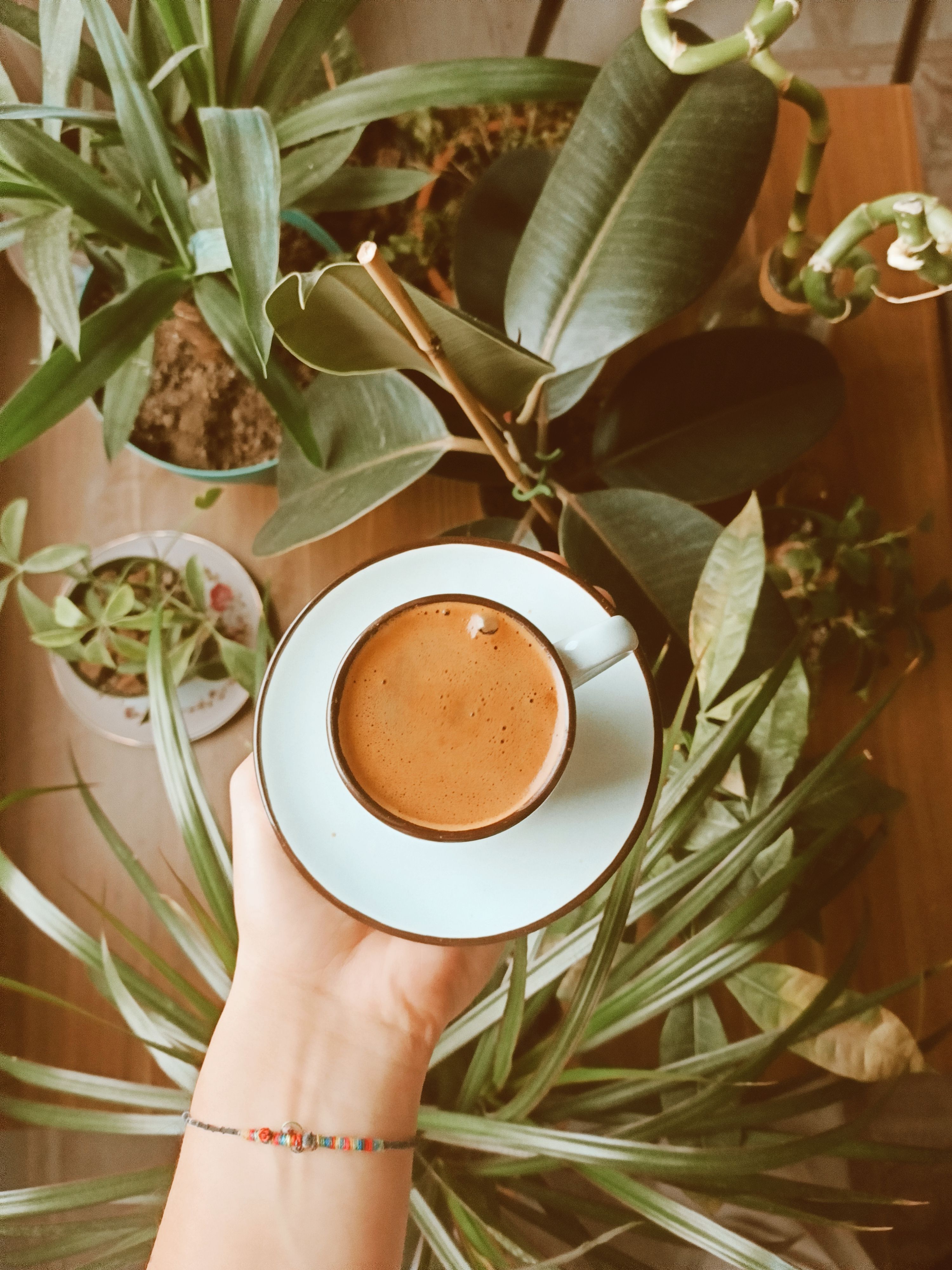 Woman Holding Cup of Coffee · Free Stock Photo