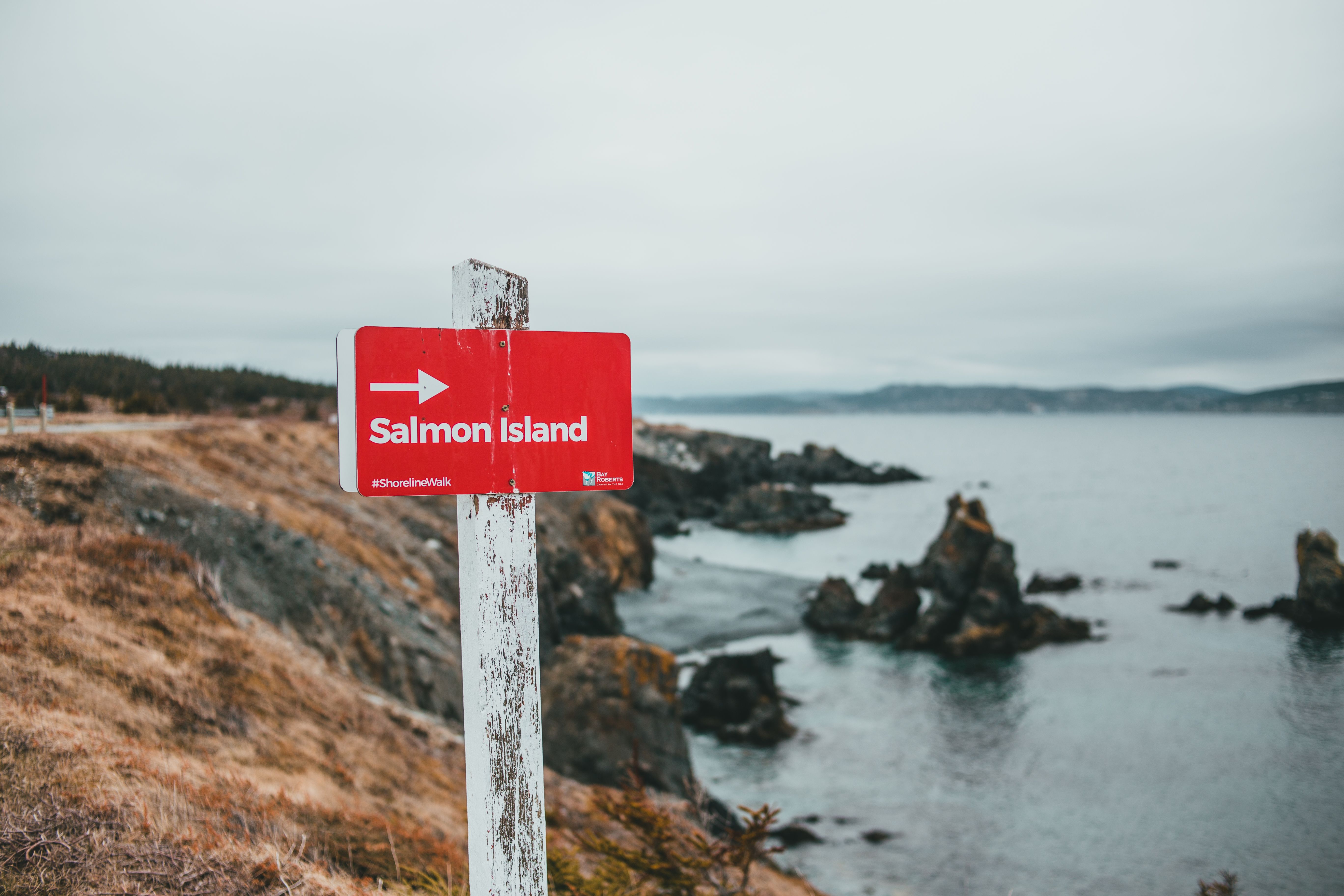 Salmon Island Photos, Download The BEST Free Salmon Island Stock Photos ...