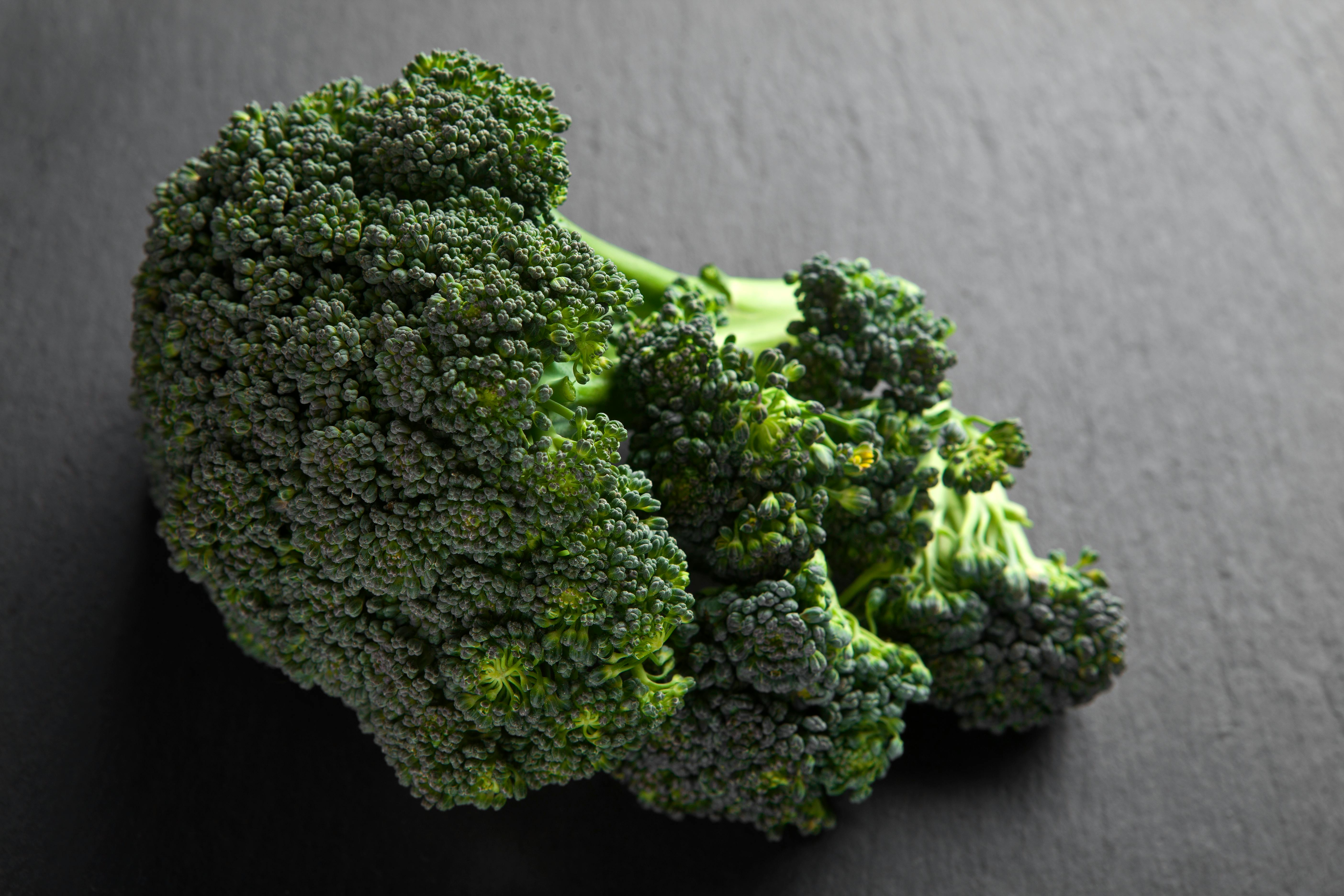 Close-up of a Green Broccoli · Free Stock Photo