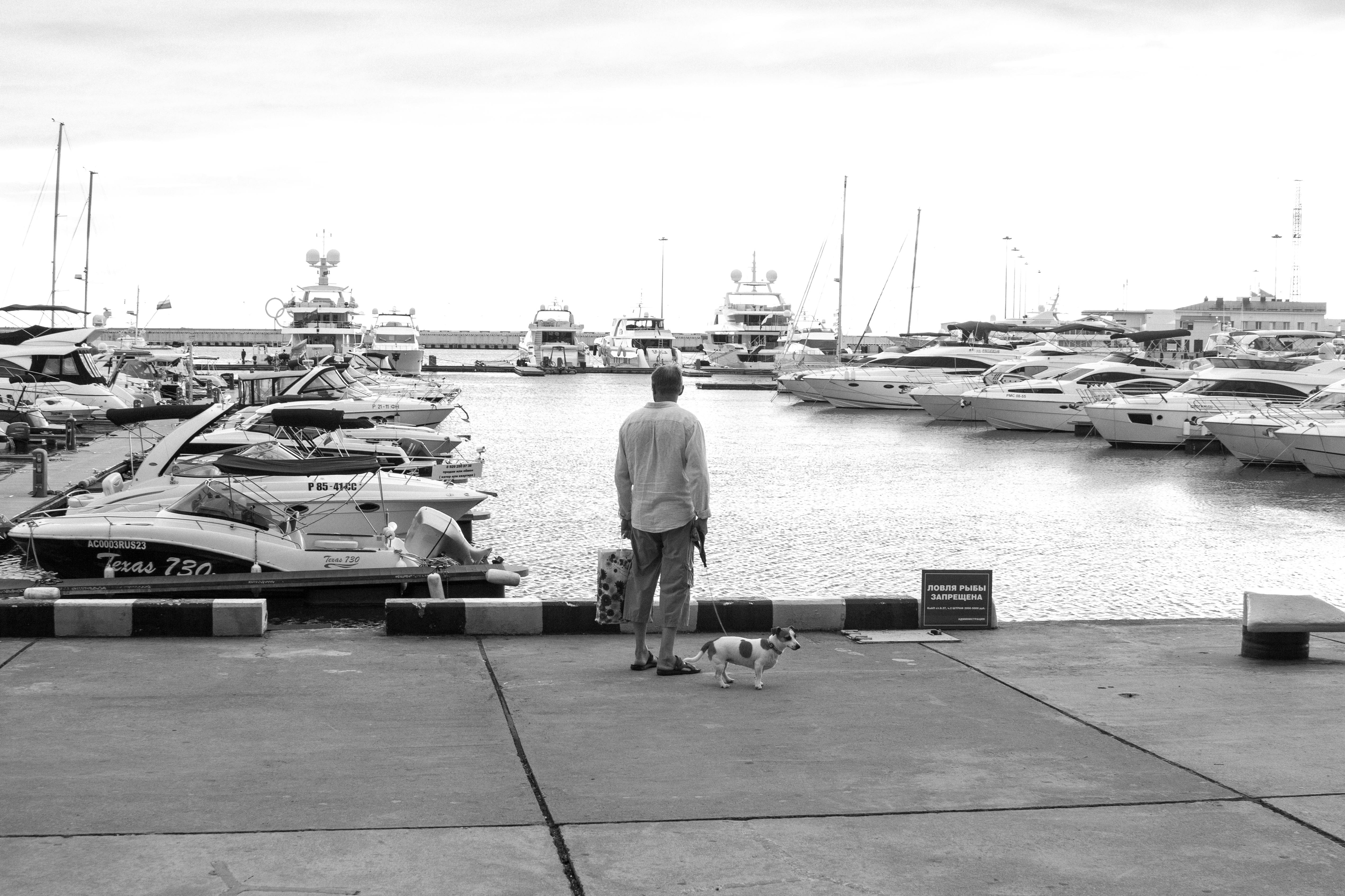 Man Standing On A Concrete Dock Near Body Of Water · Free Stock Photo