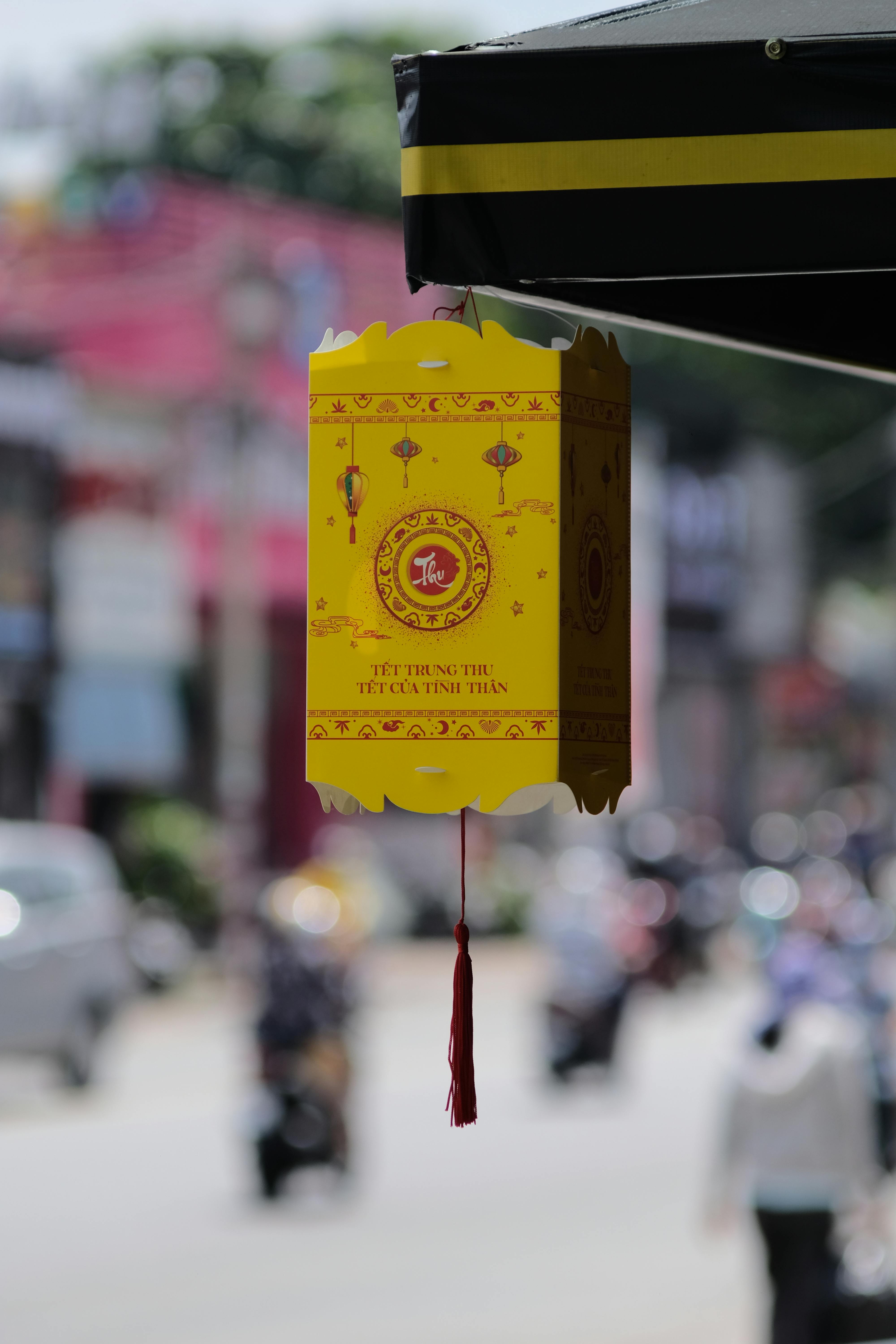 20+ Best Den Photos · 100% Free Download · Pexels Stock Photos