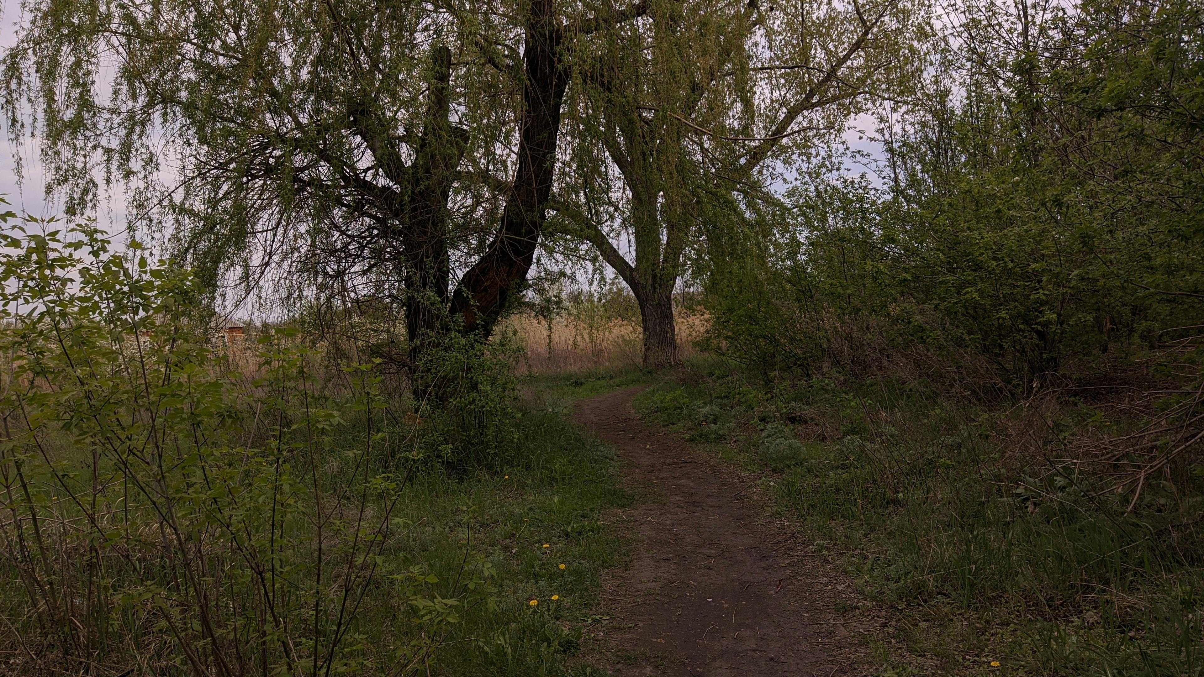 road 10 Photos & Videos Collected by Ally Ross