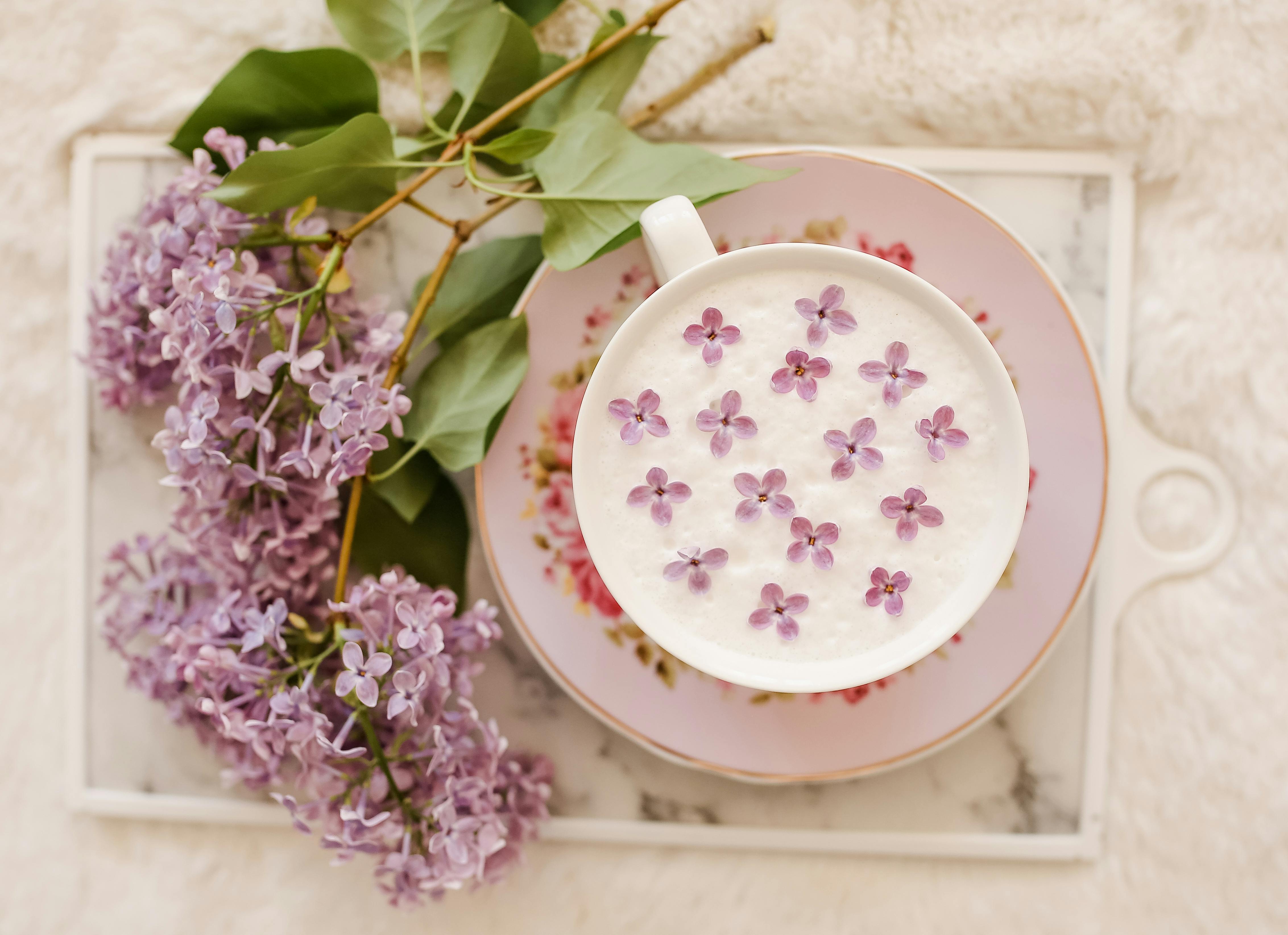 Cup Plate Wallpaper Photos, Download The BEST Free Cup Plate Wallpaper ...