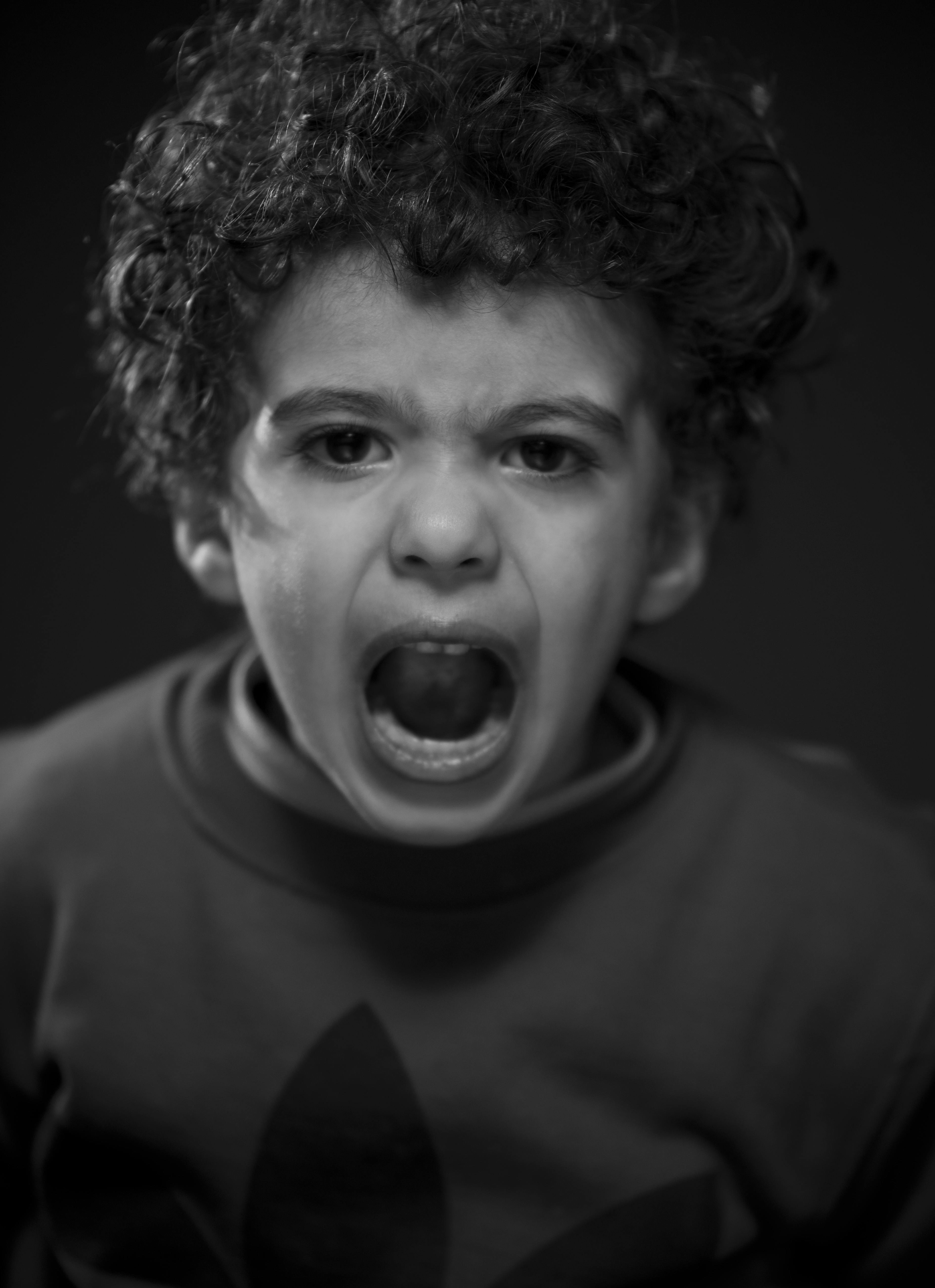 Fear Free Images | Everypixel