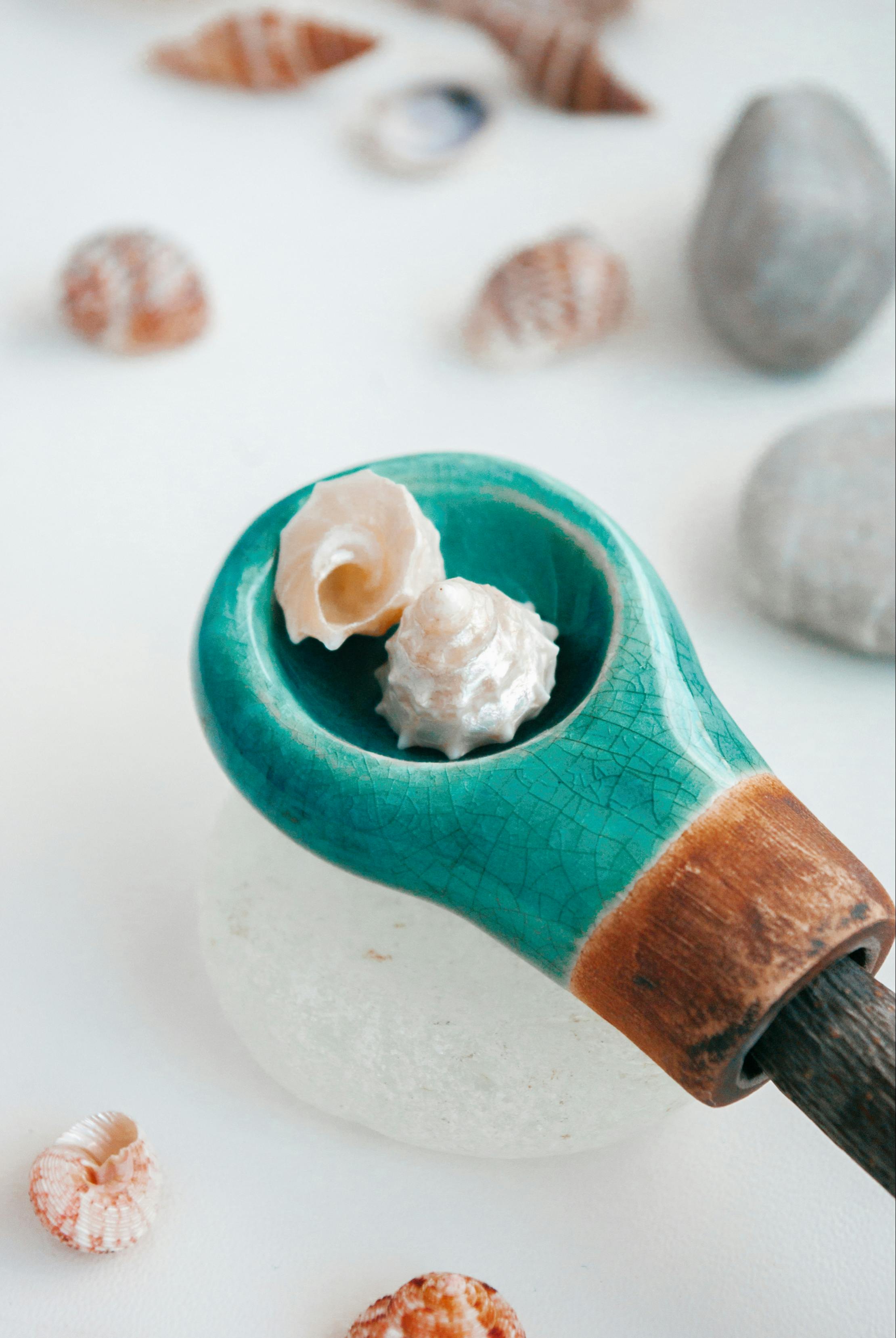 Close up Photo of a Spiral Seashell · Free Stock Photo