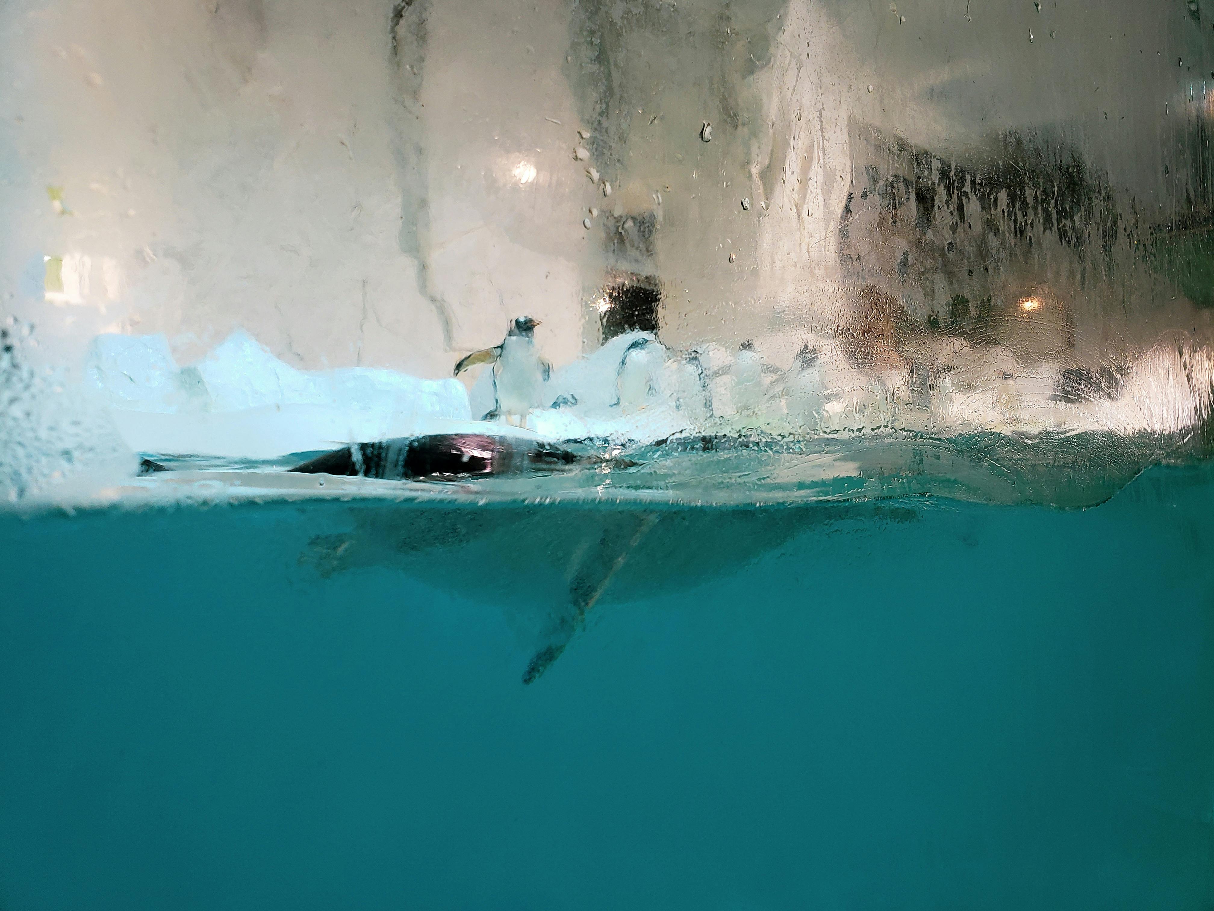 Waleed Khalid - 写真