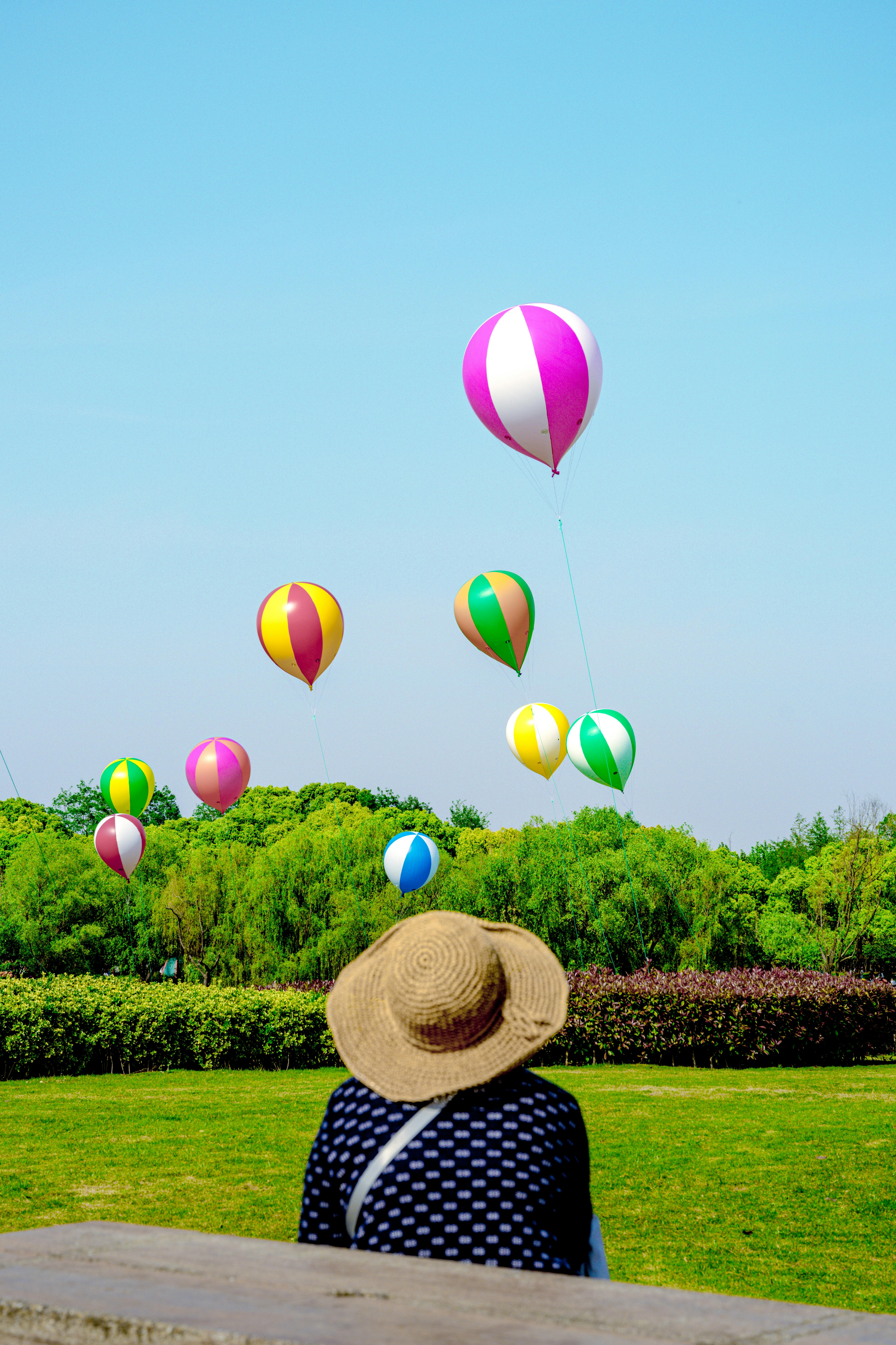 Back View of a Person Watching Balloons Float Up · Free Stock Photo