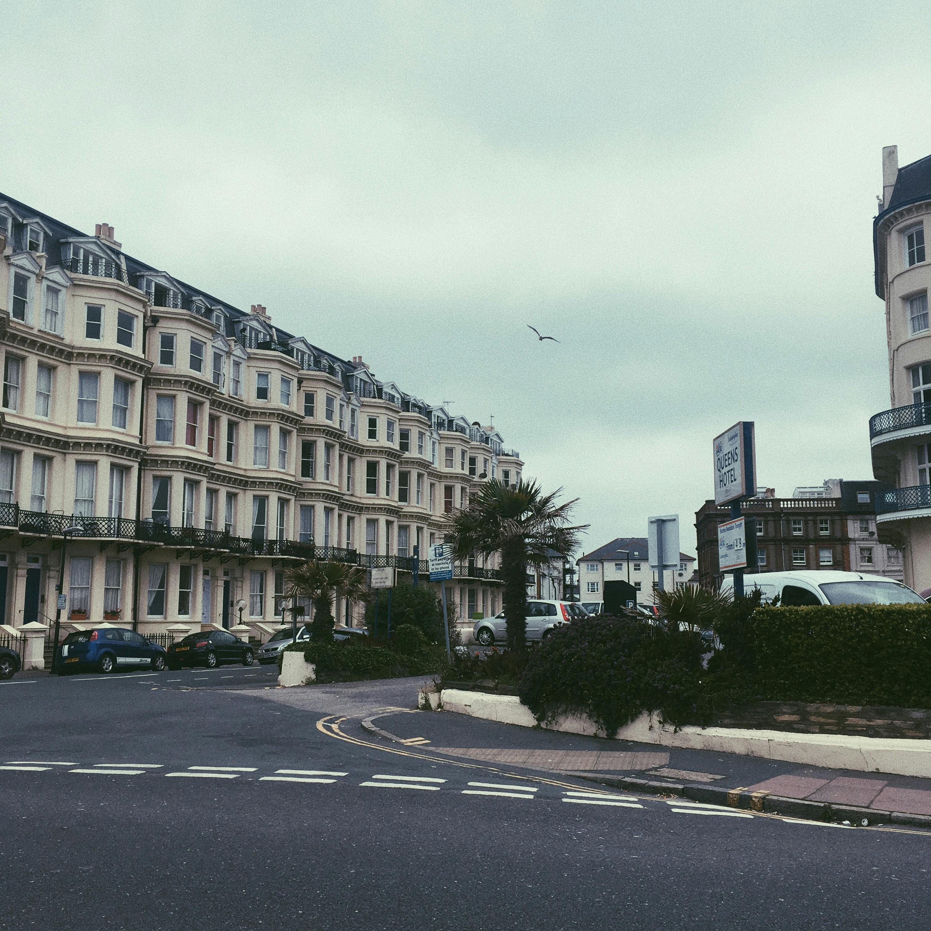 Ms. Wolf - Photography