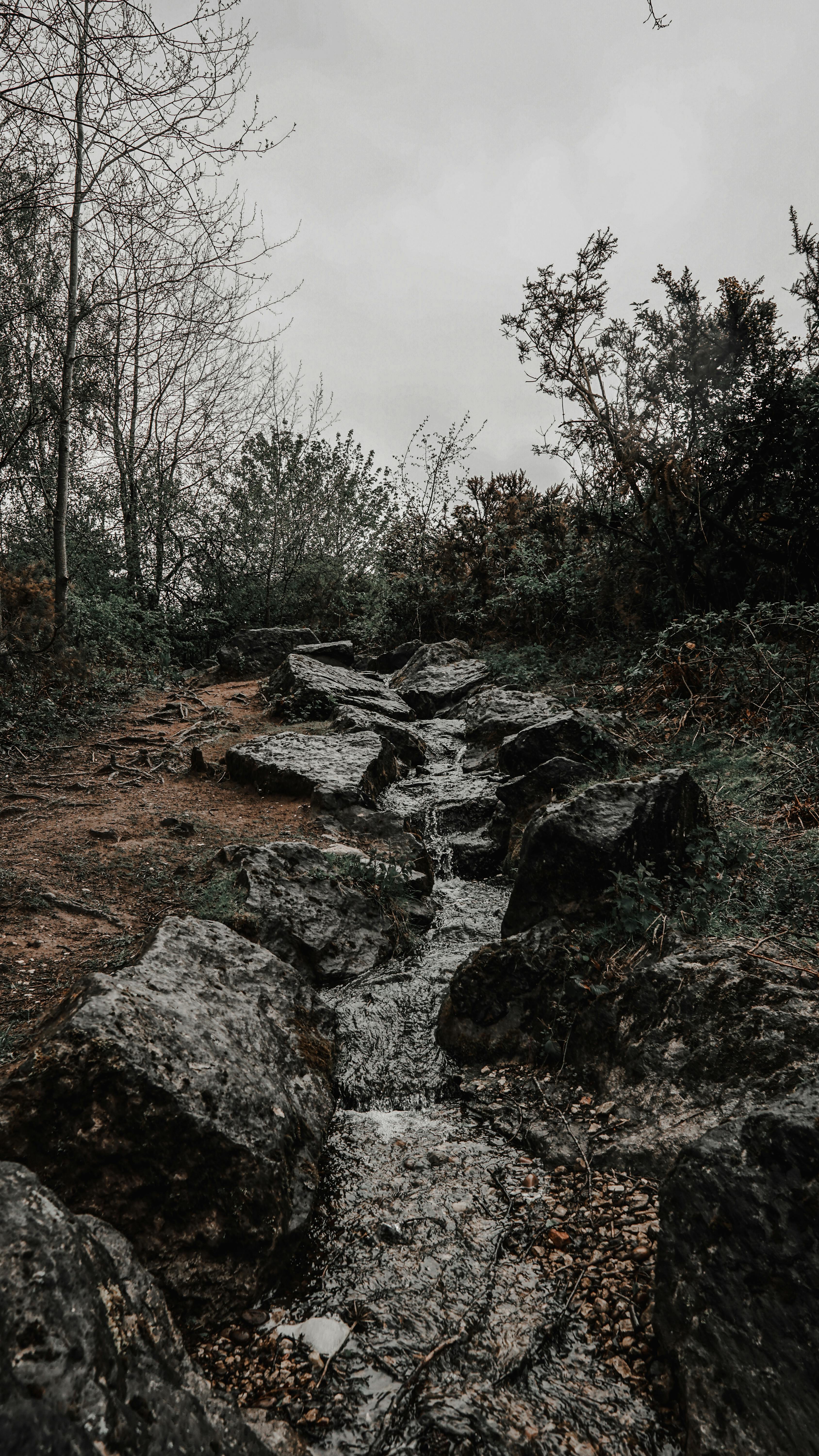 Rocky Stream in the Mountain · Free Stock Photo