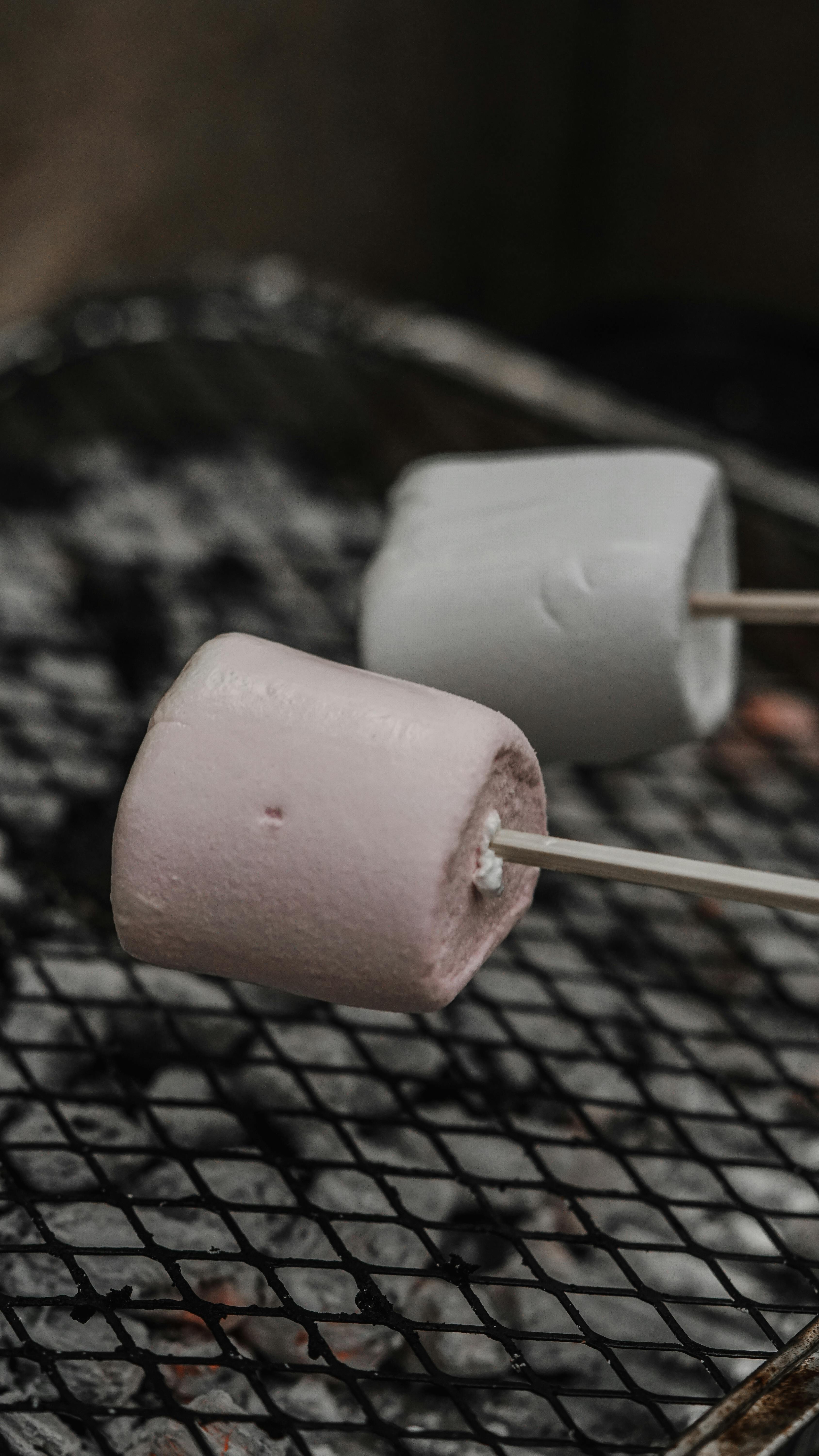 Close-up Of A Grilled Marshmallow On A Stick · Free Stock Photo