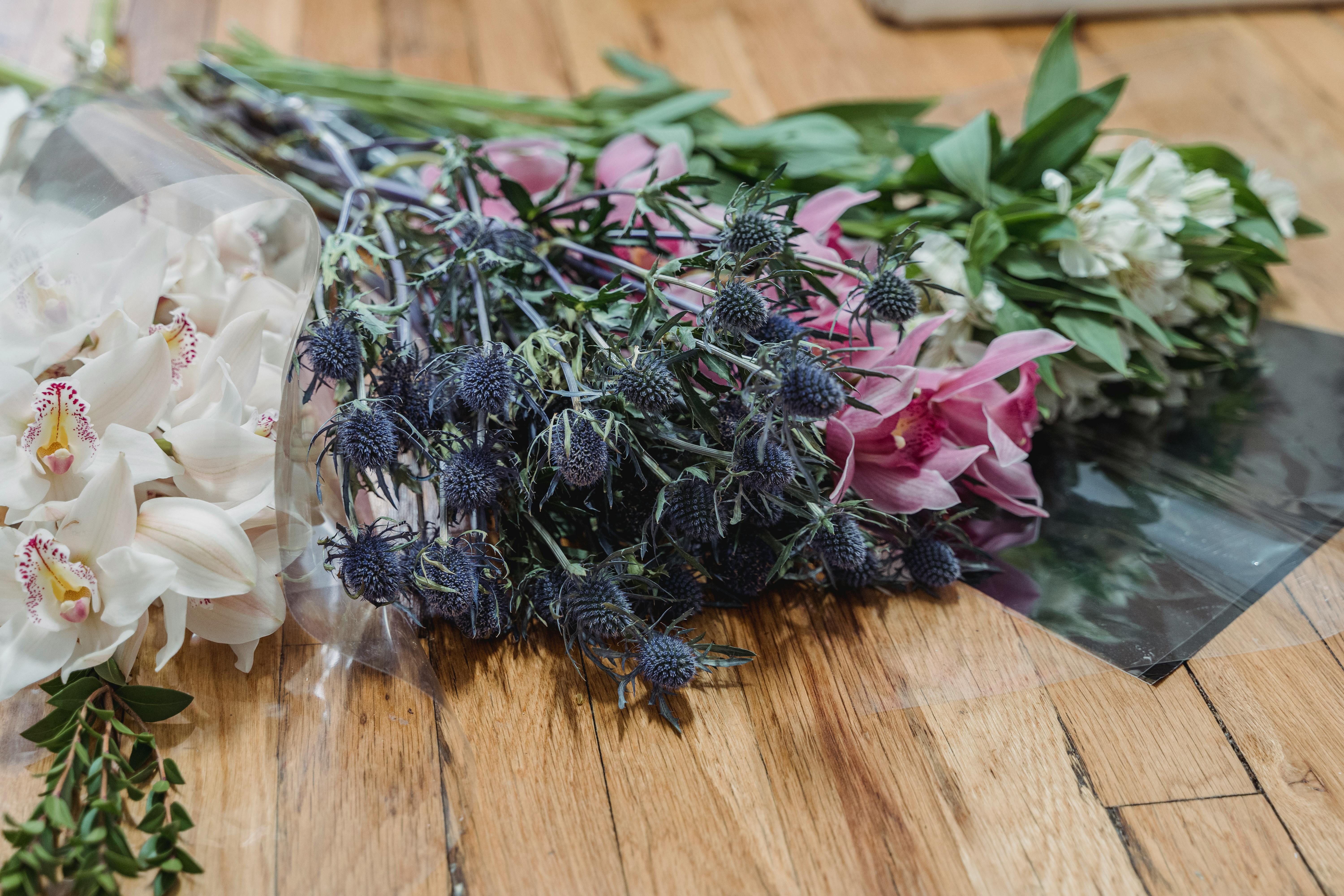 Blooming Flowers Placed Next to Each Other · Free Stock Photo