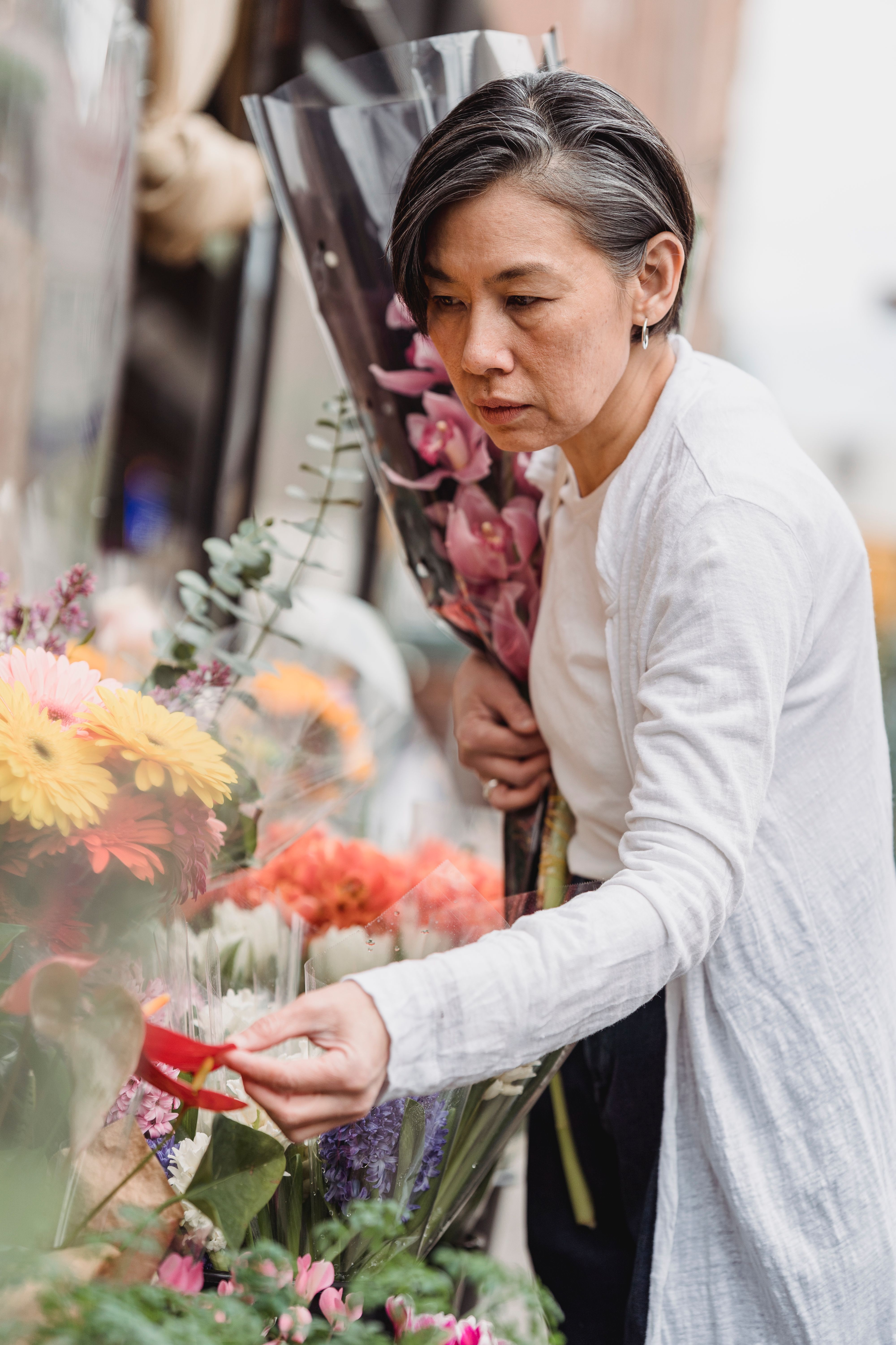 Woman Looking at Flowers · Free Stock Photo