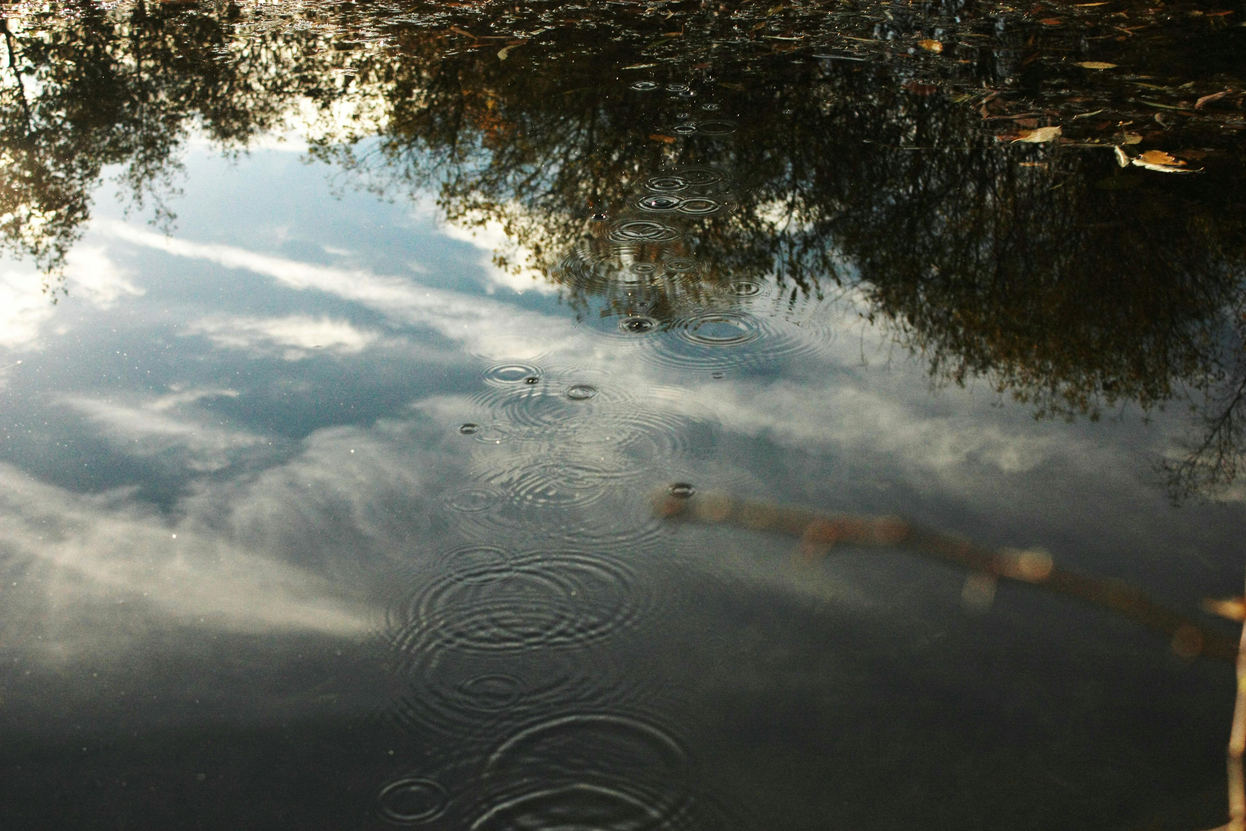 Free stock photo of blue water, calm waters, reflection