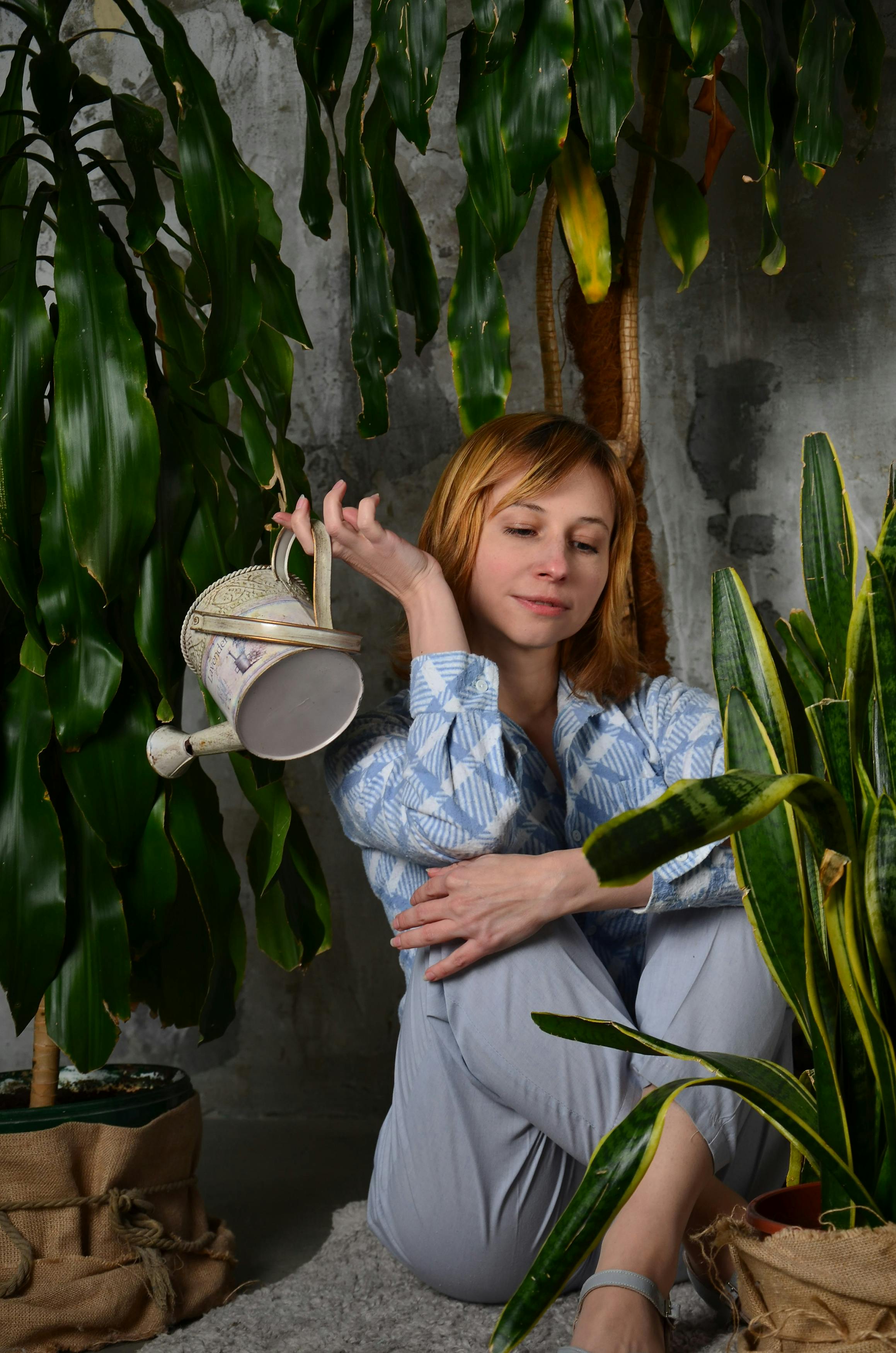 Photo of Green Plants Getting Watered · Free Stock Photo